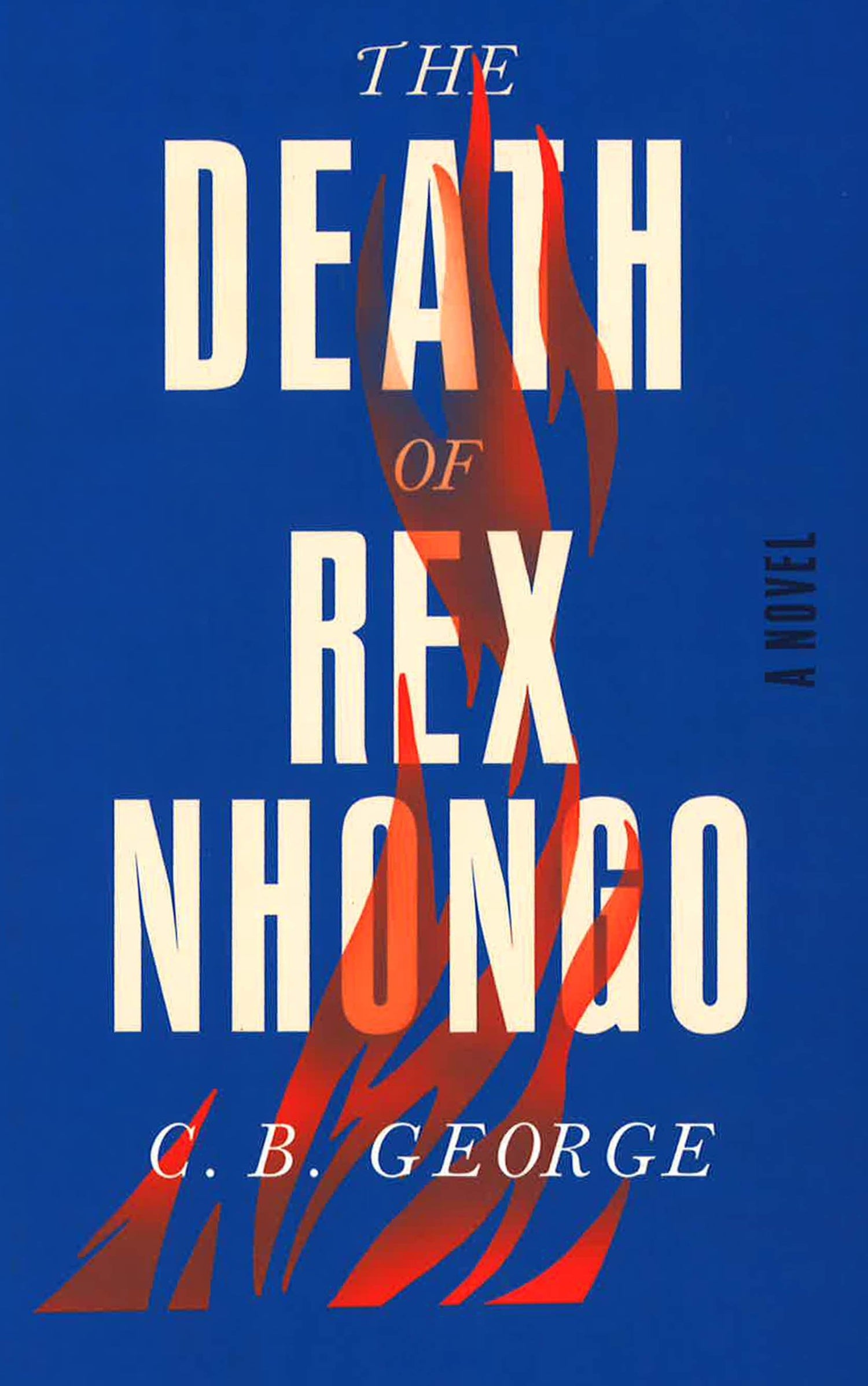 The Death of Rex Nhongo – BookXcess