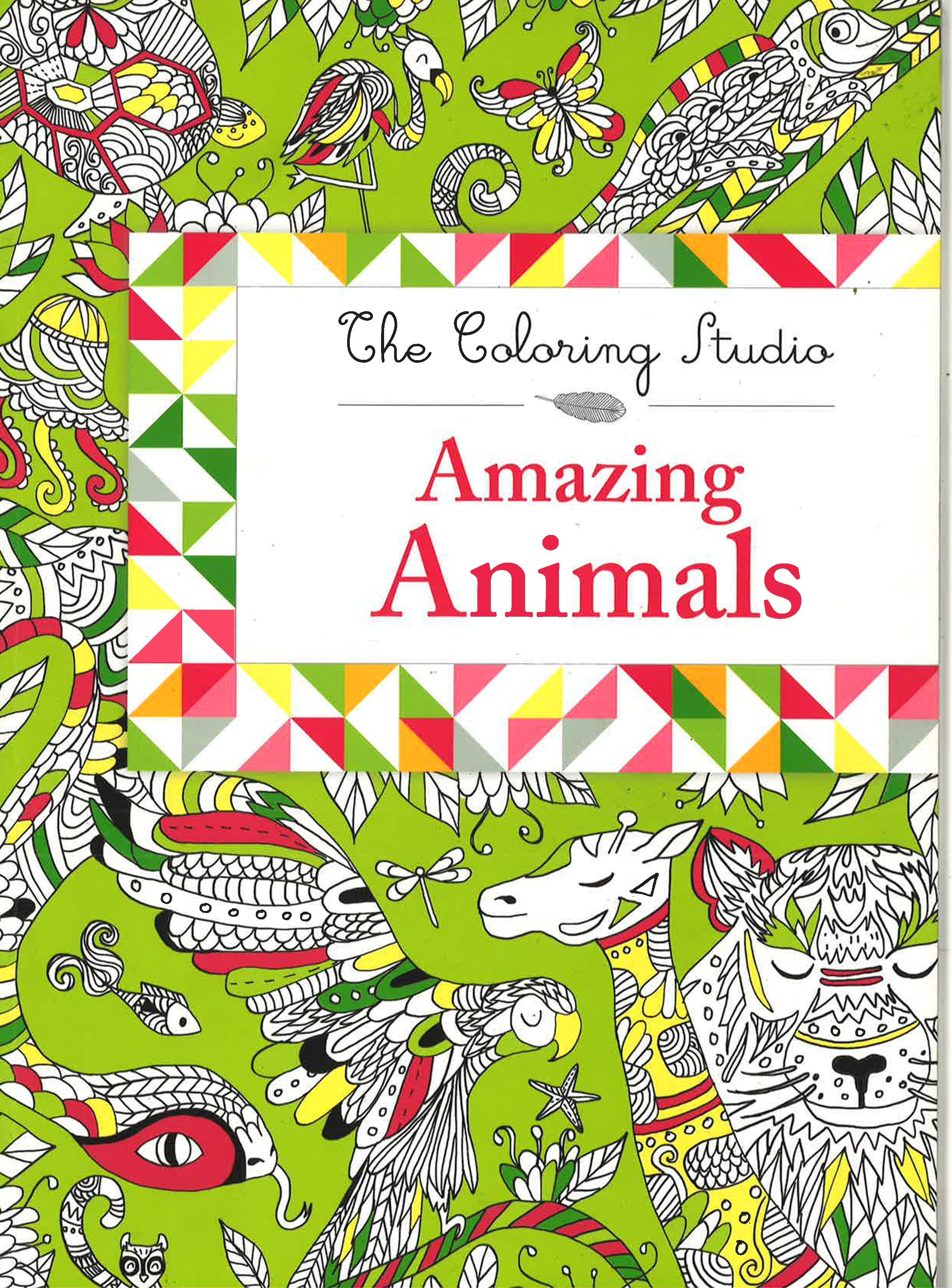 Amazing Animals – BookXcess