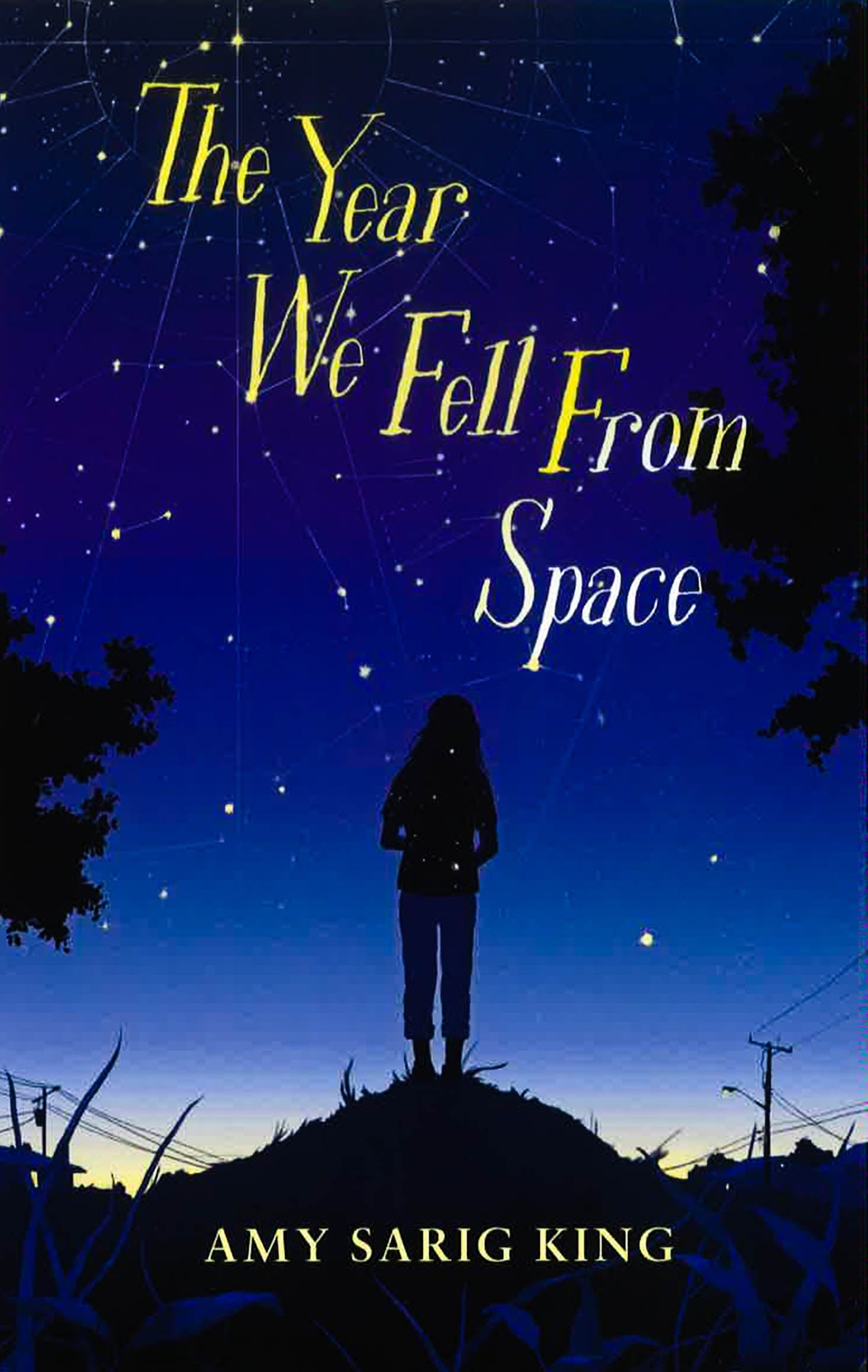 The Year We Fell From Space – BookXcess