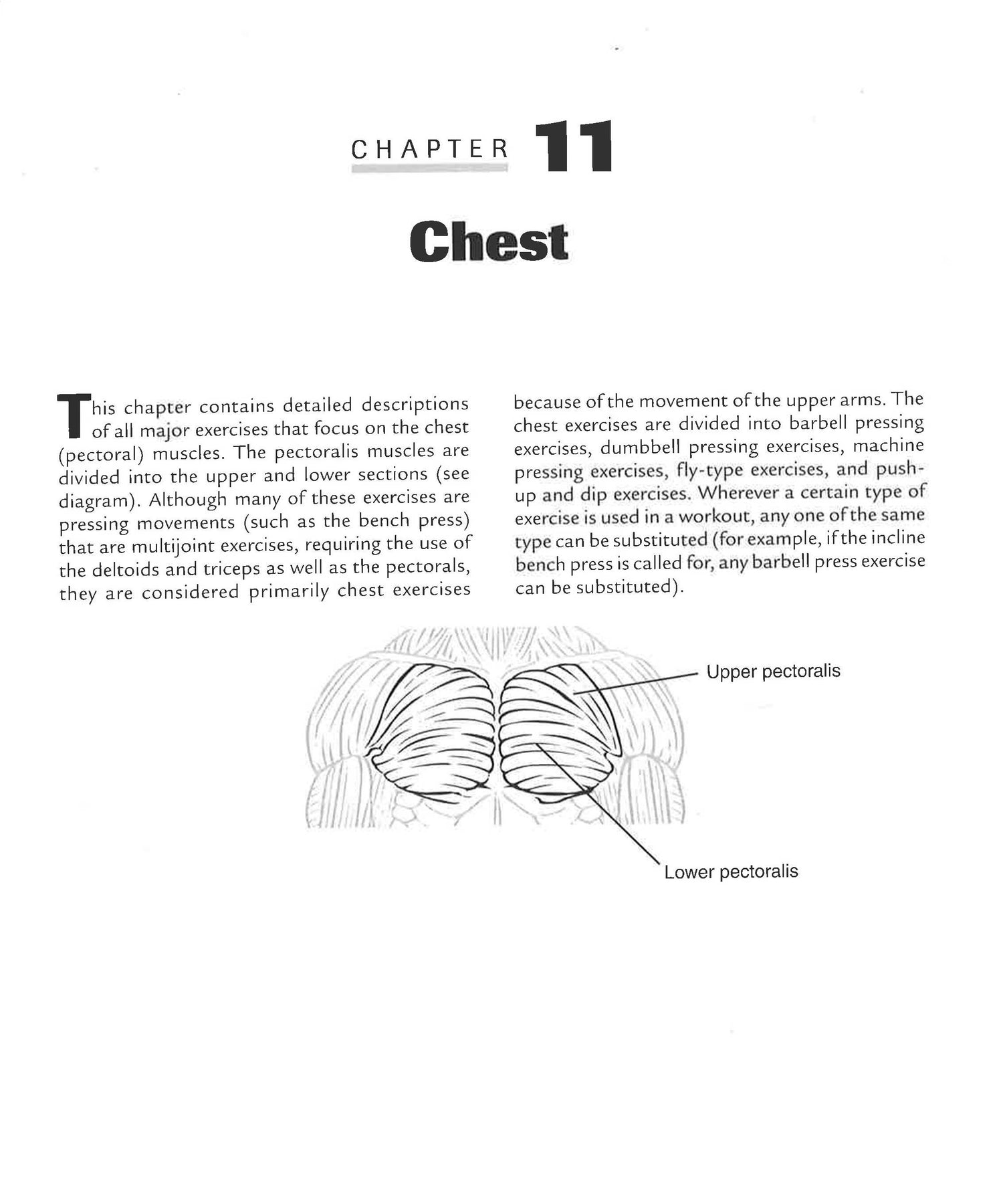 Encyclopedia Of Muscle And Strength – BookXcess