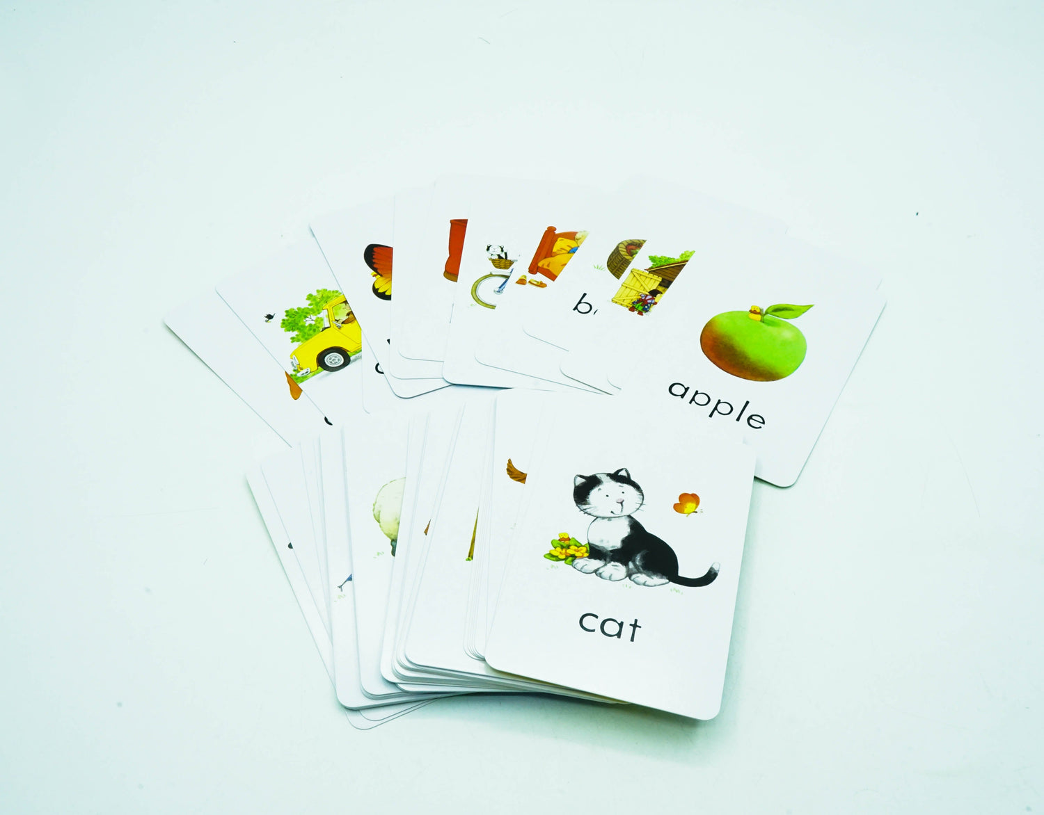 Poppy And Sam's First Words Flashcards – BookXcess