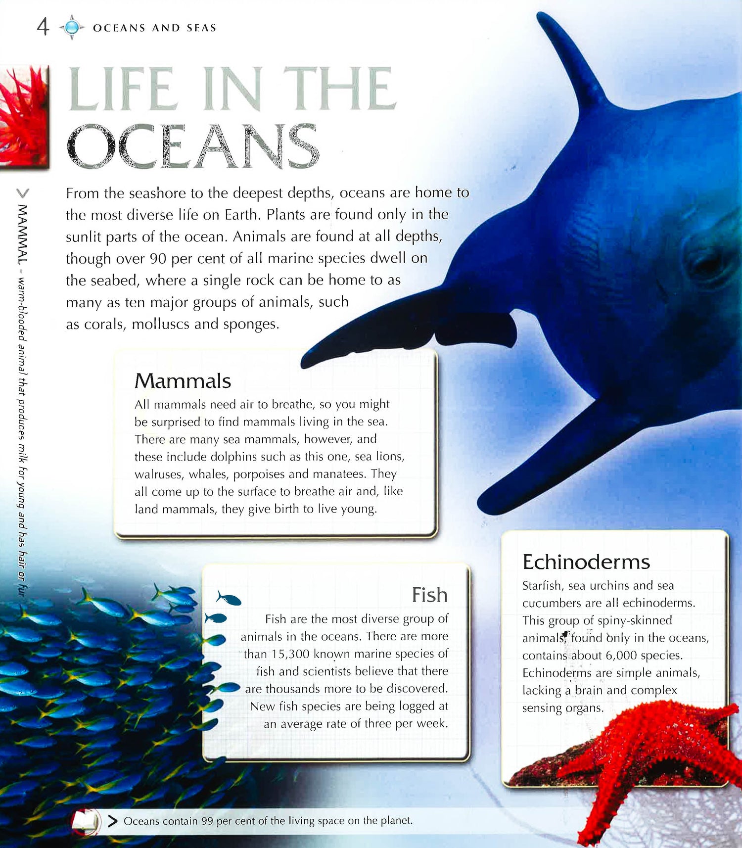 Navigators: Oceans And Seas – BookXcess