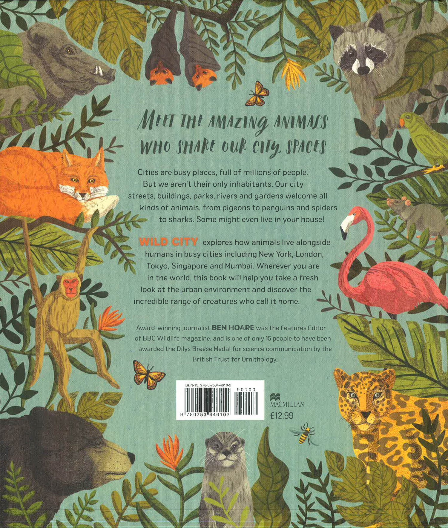 Wild City : Meet the animals who share our city spaces – BookXcess