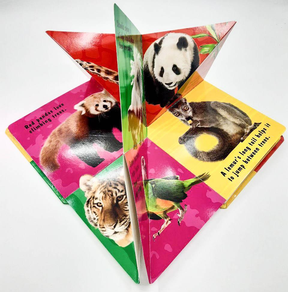 My Giant Fold-Out Wild Animals – BookXcess