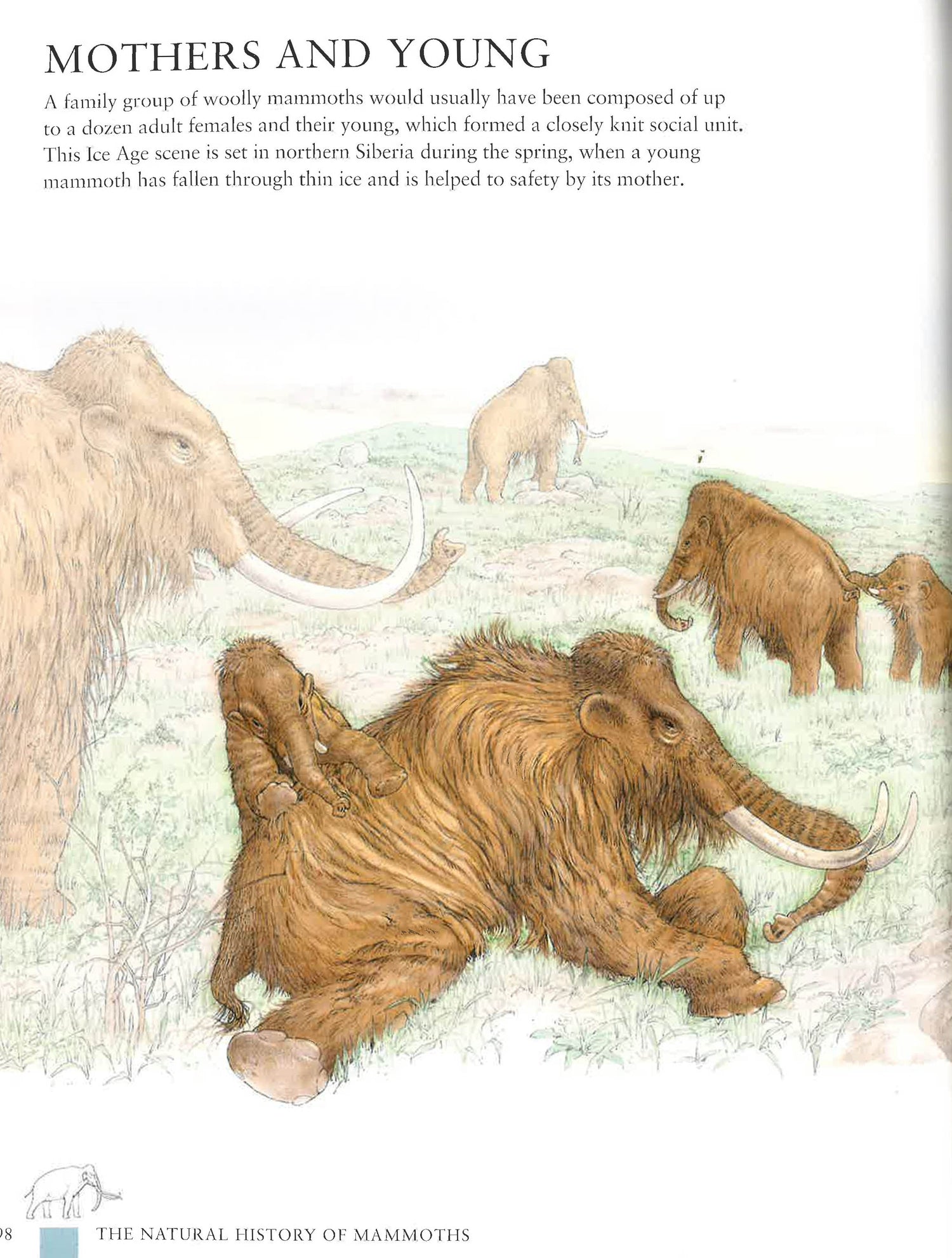 Mammoths : Giants Of The Ice Age – BookXcess
