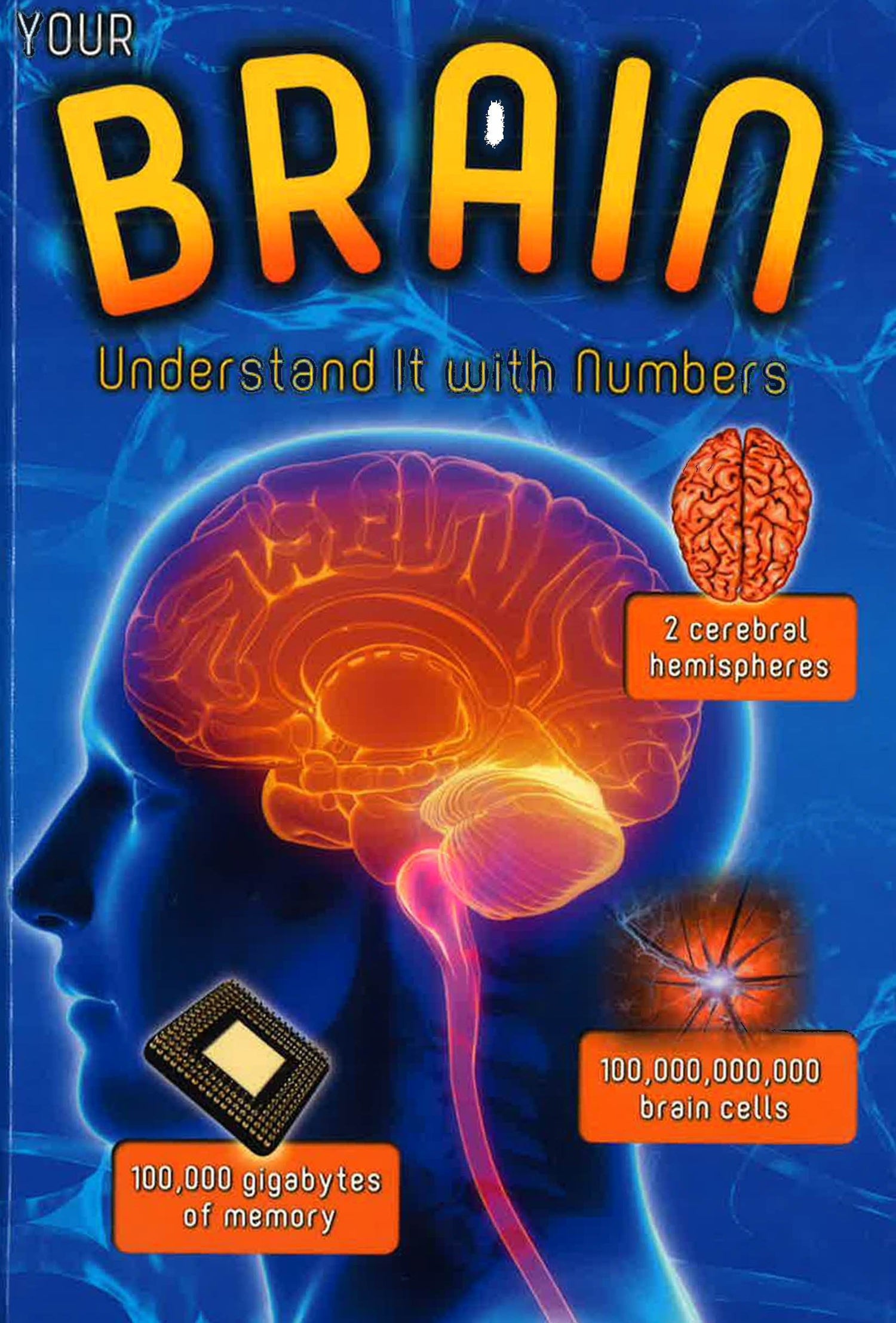 Your Brain – BookXcess