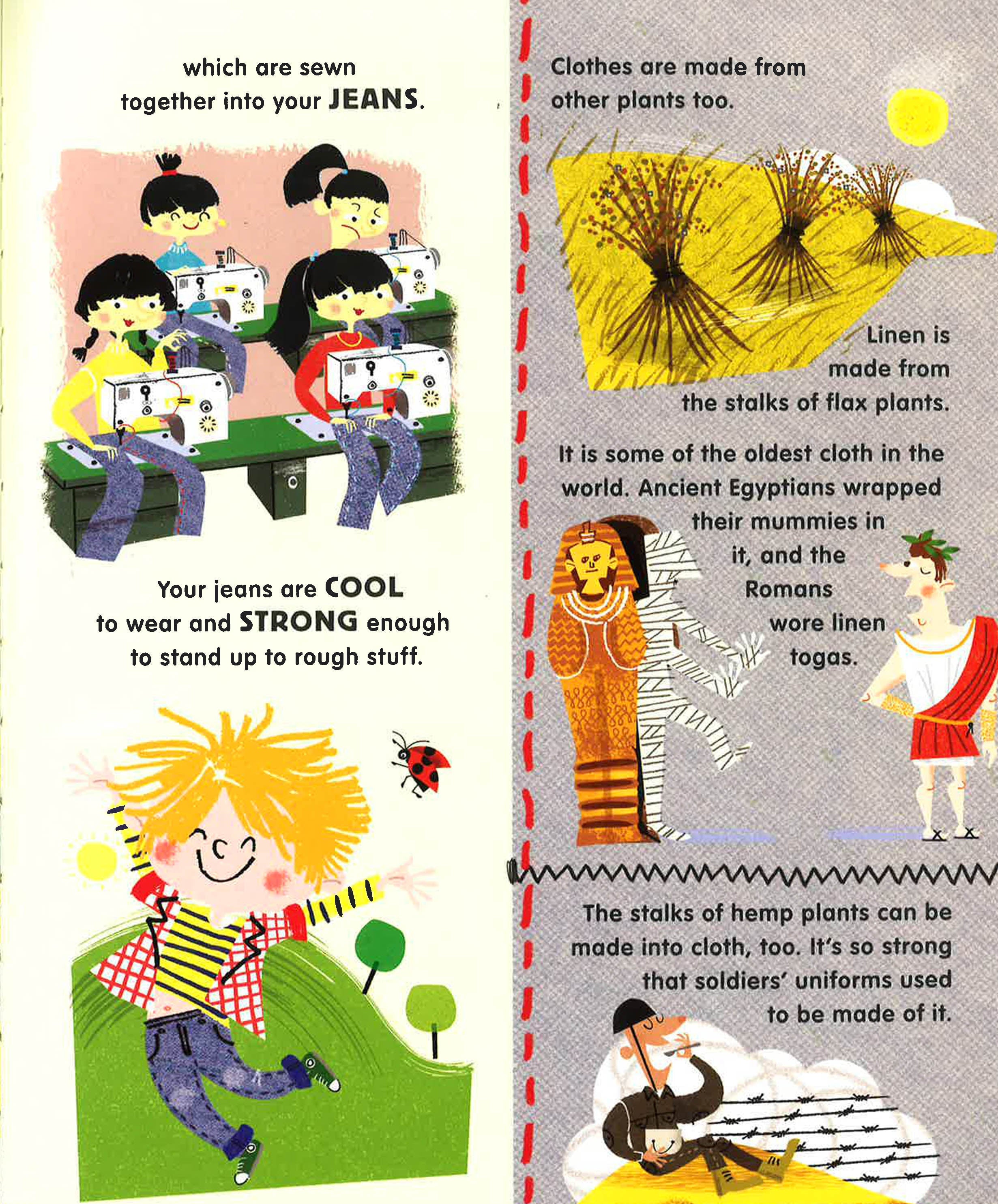 Where Do Clothes Come From? P/B – BookXcess