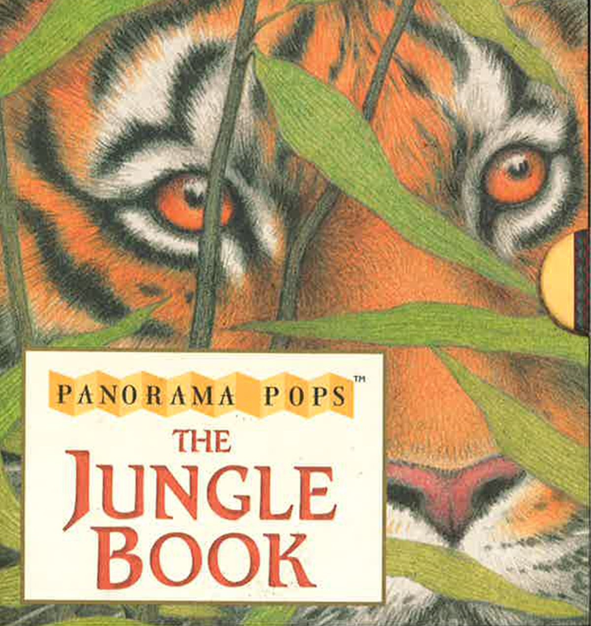 The Jungle Book – BookXcess