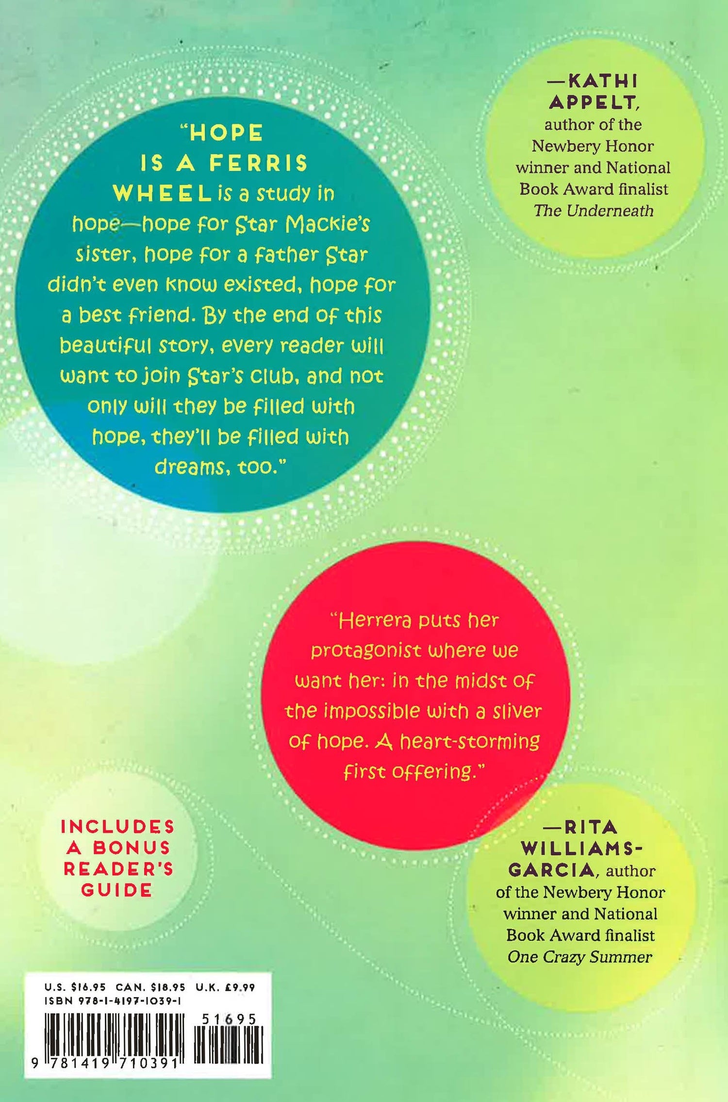 Hope Is A Ferris Wheel – BookXcess