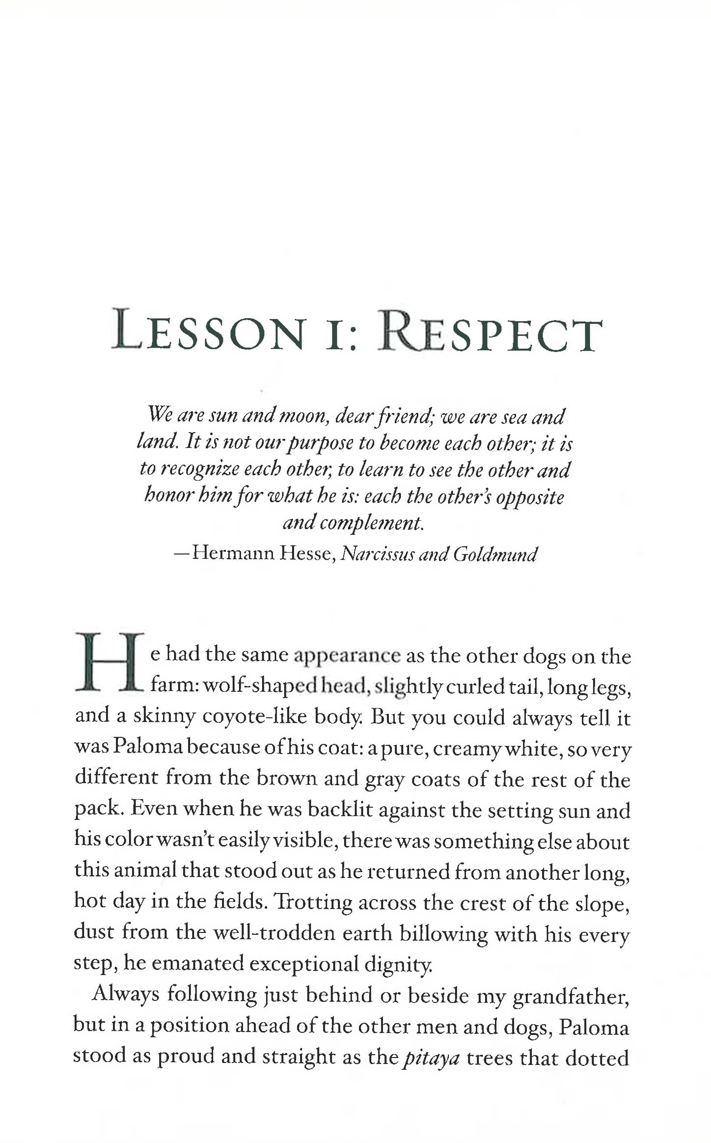 Cesar Millan's Lessons From The Pack: Stories Of The Dogs Who Changed ...