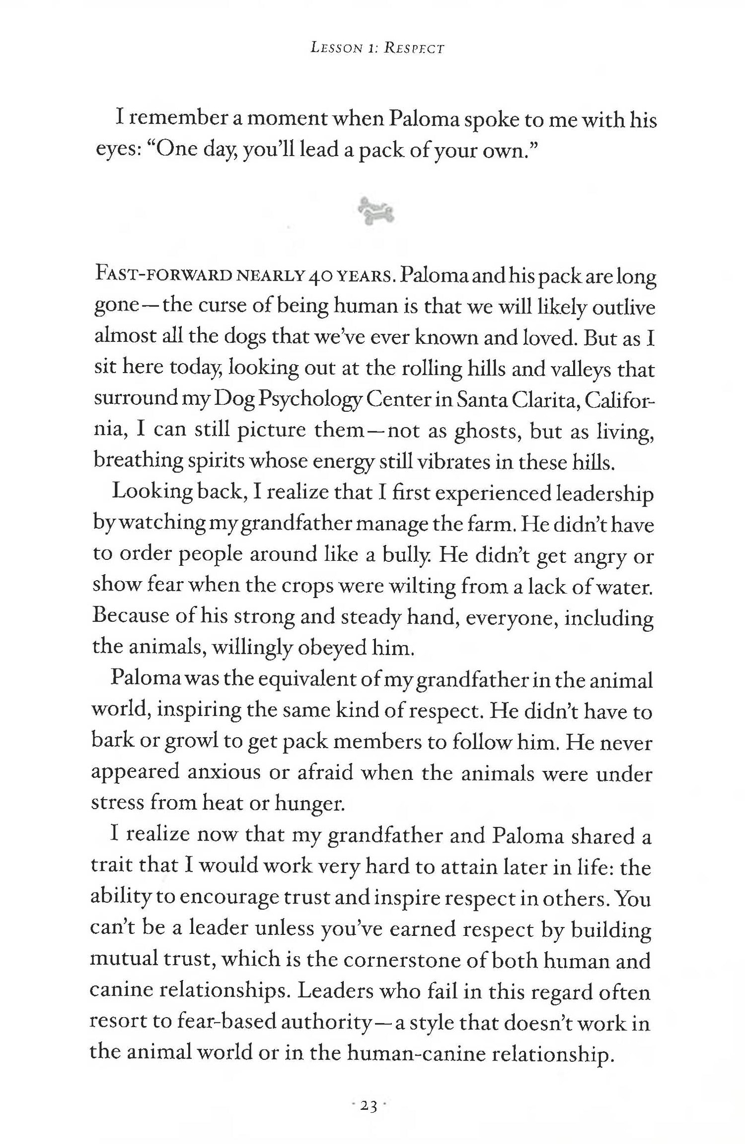 Cesar Millan's Lessons From The Pack: Stories Of The Dogs Who Changed ...