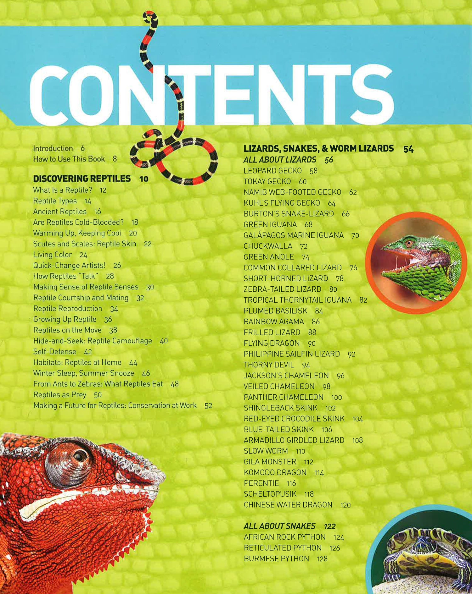 Ultimate Reptileopedia: The Most Complete Reptile Reference Ever (Nati ...