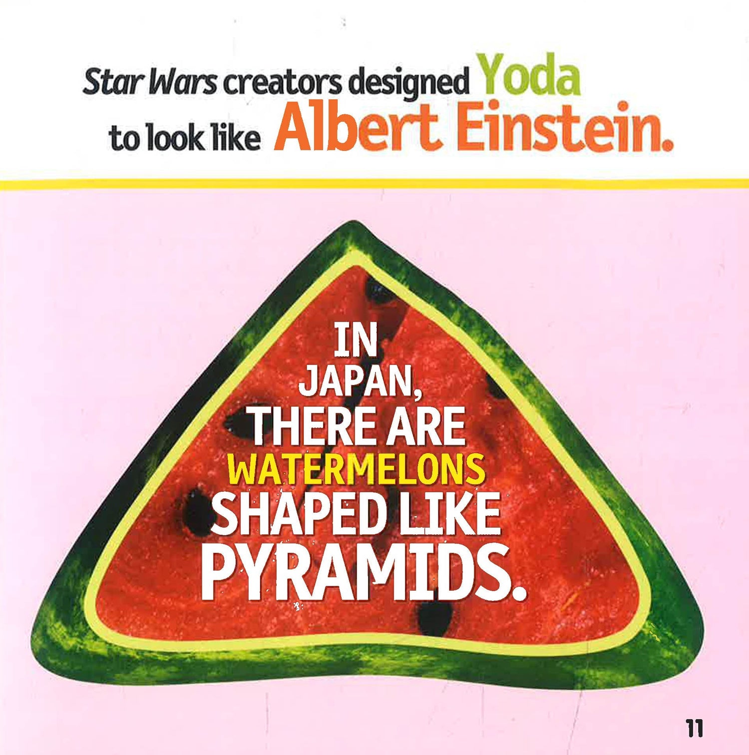 Weird But True 1: Expanded Edition – BookXcess