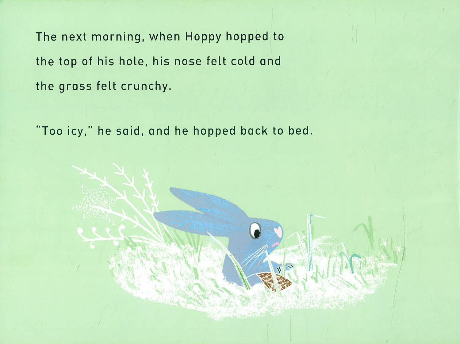 Hooray For Hoppy – BookXcess