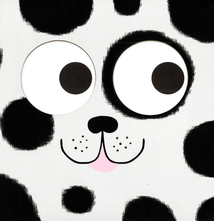 Catch Me: A Sneak-And-Find Book – BookXcess