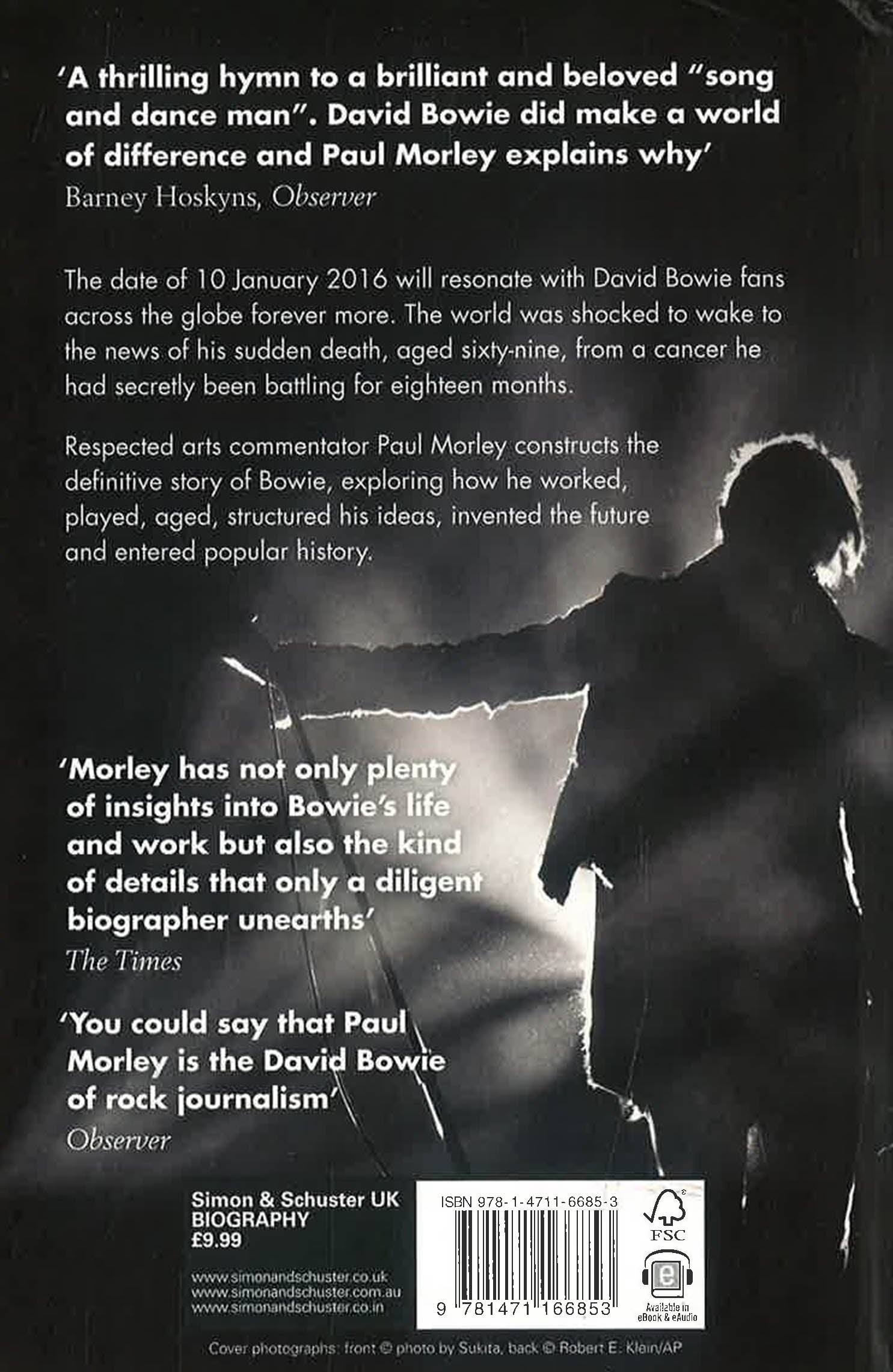 The Age Of Bowie: How David Bowie Made A World Of Difference – BookXcess