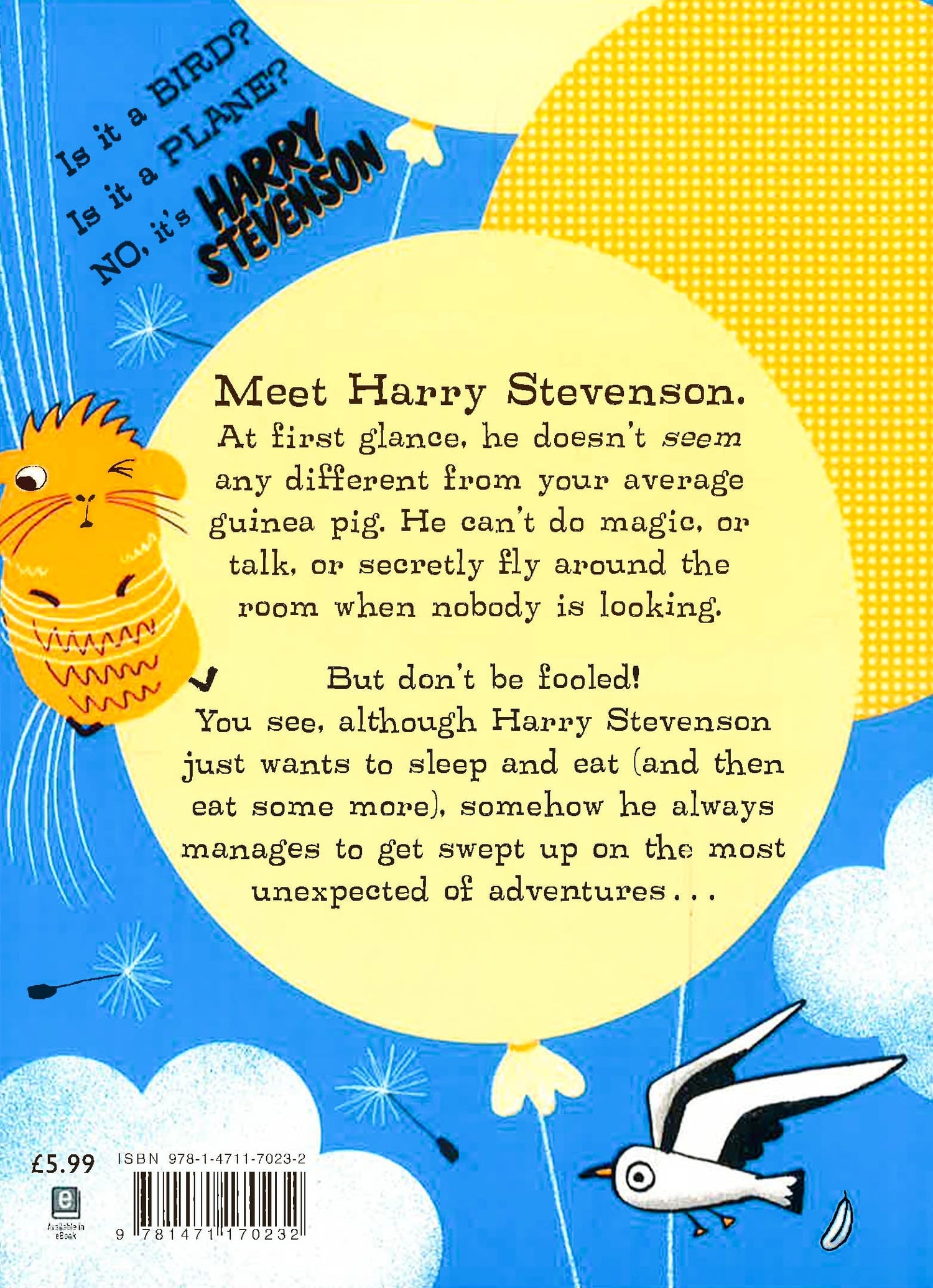 The Adventures Of Harry Stevenson – BookXcess
