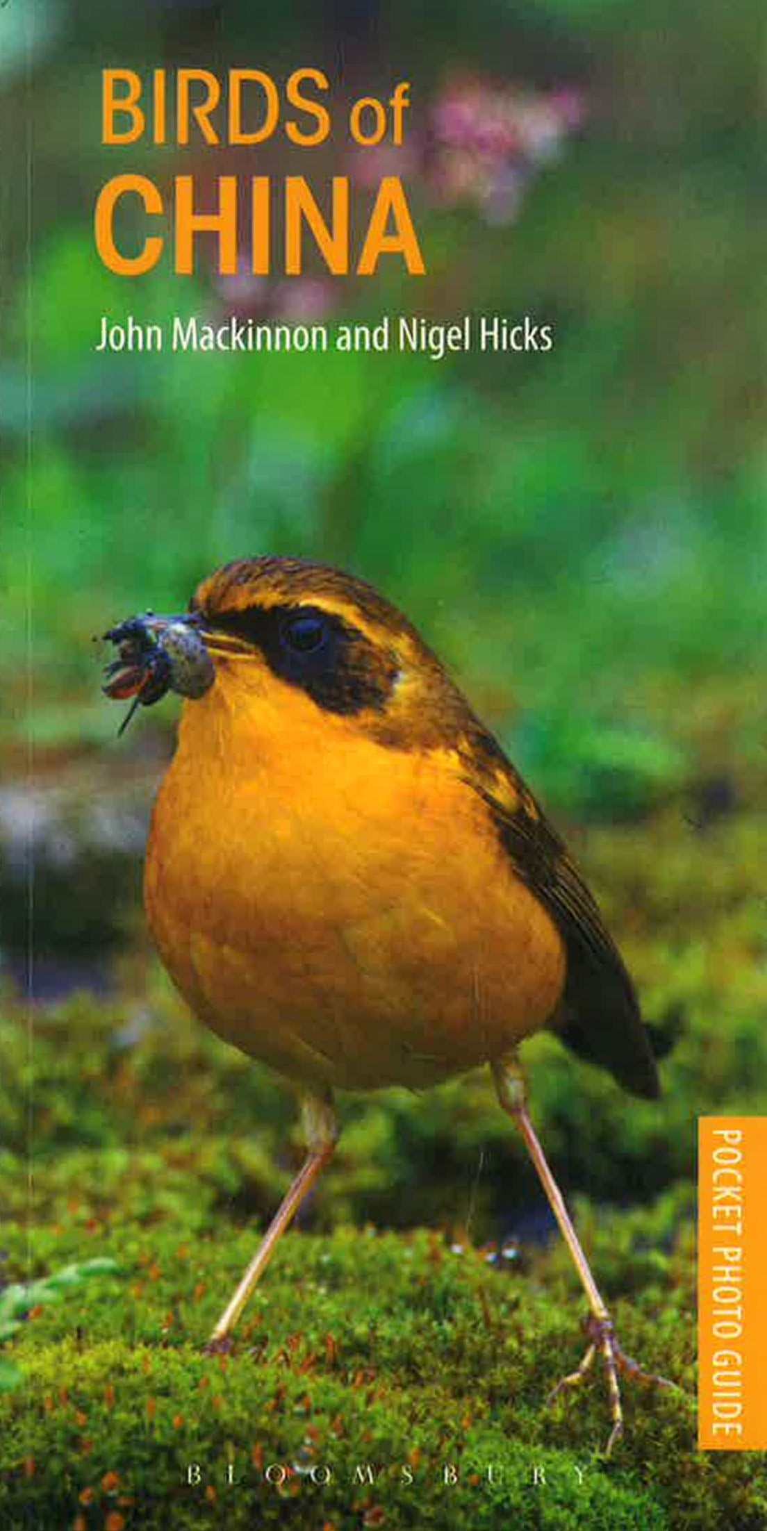 Pocket Photo Guides: Birds of China – BookXcess