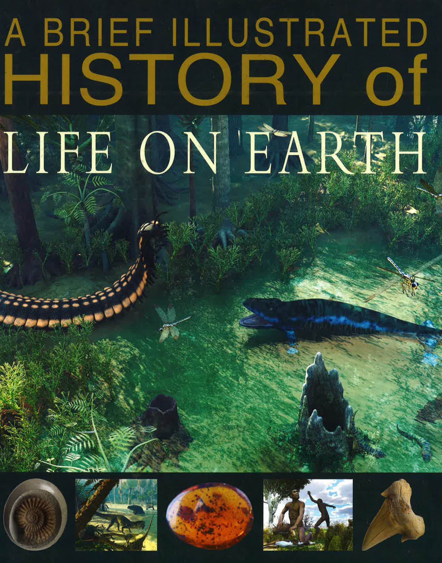 Brief Illustrated History Of Life On Earth – BookXcess