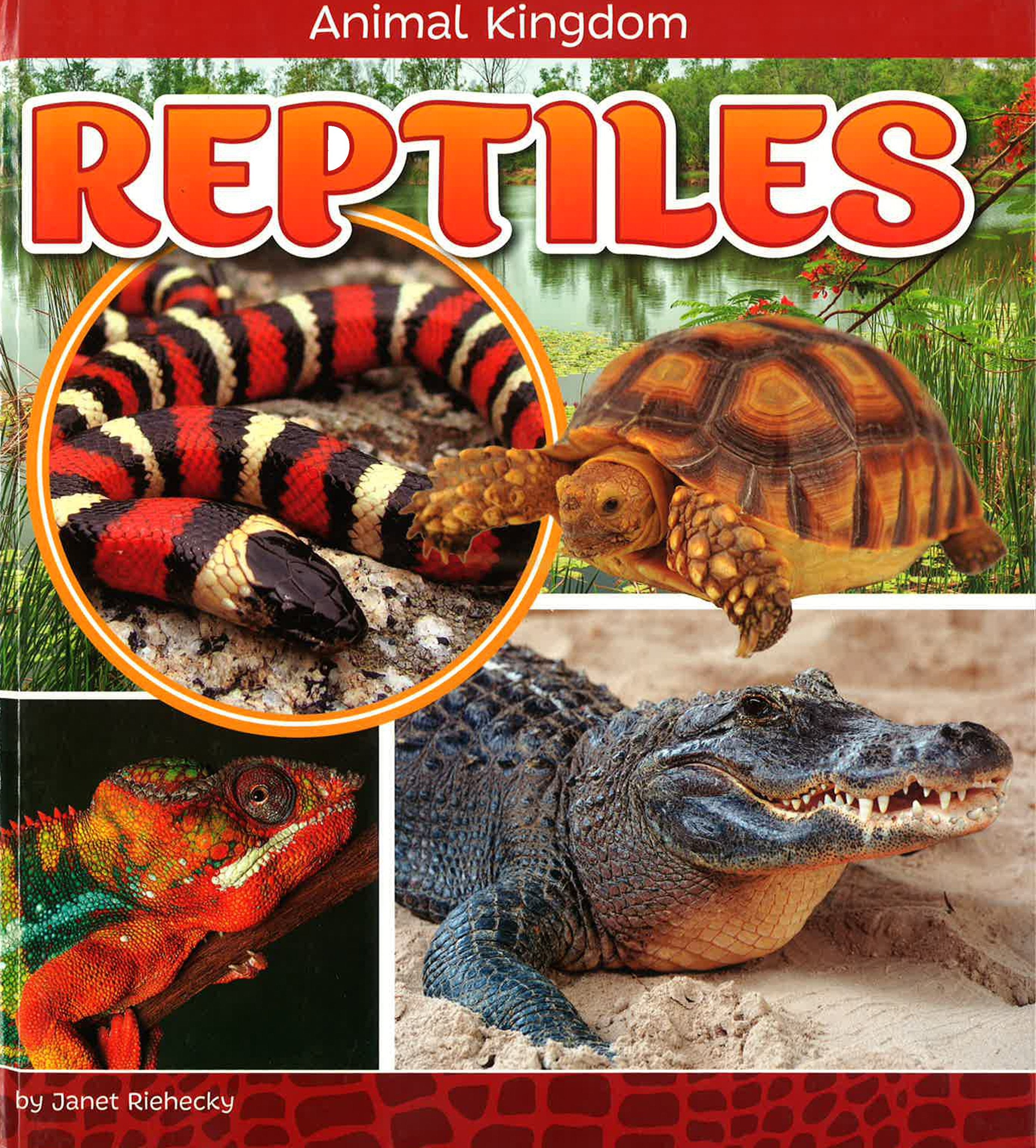 Reptiles – BookXcess
