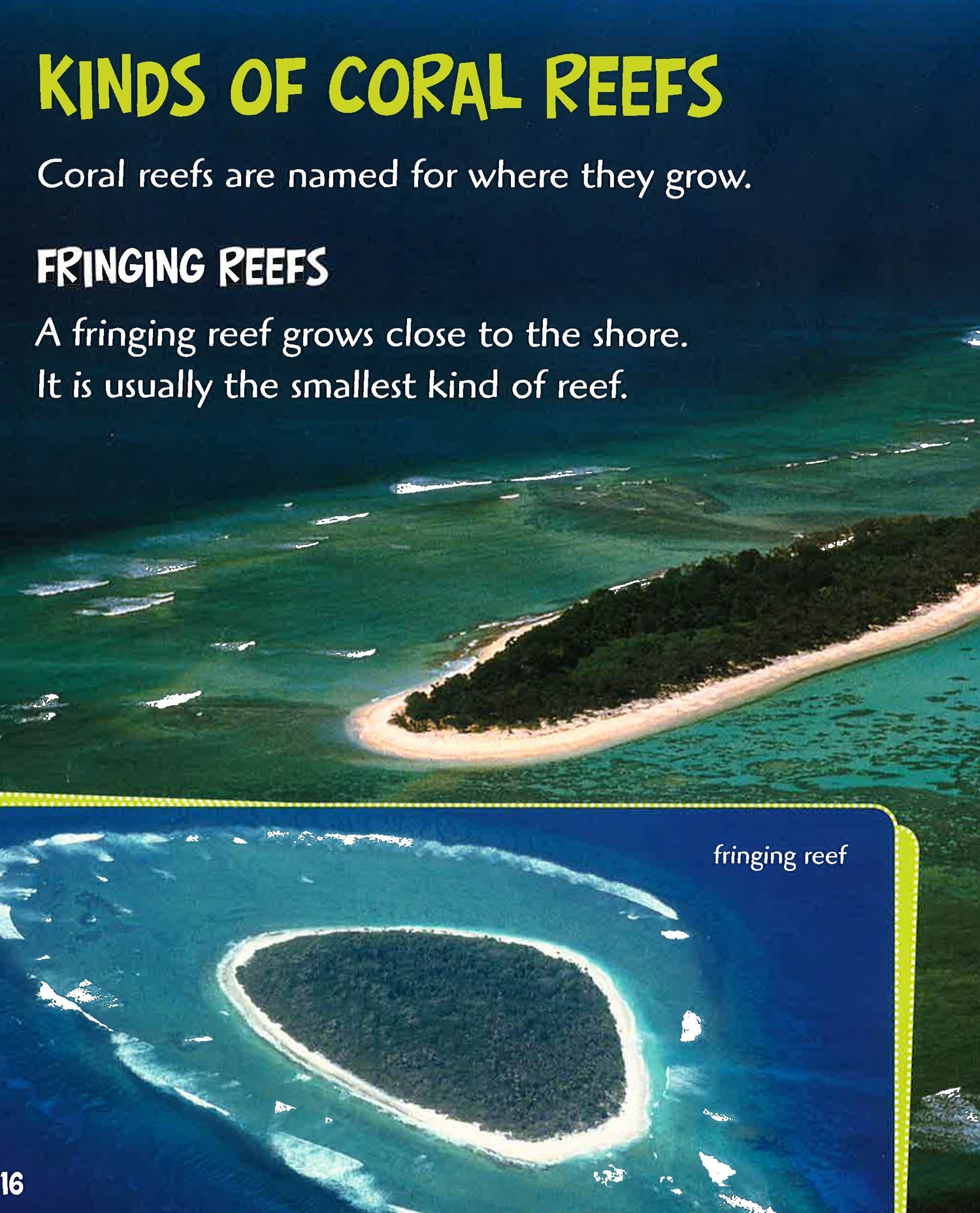 Coral Reefs – BookXcess