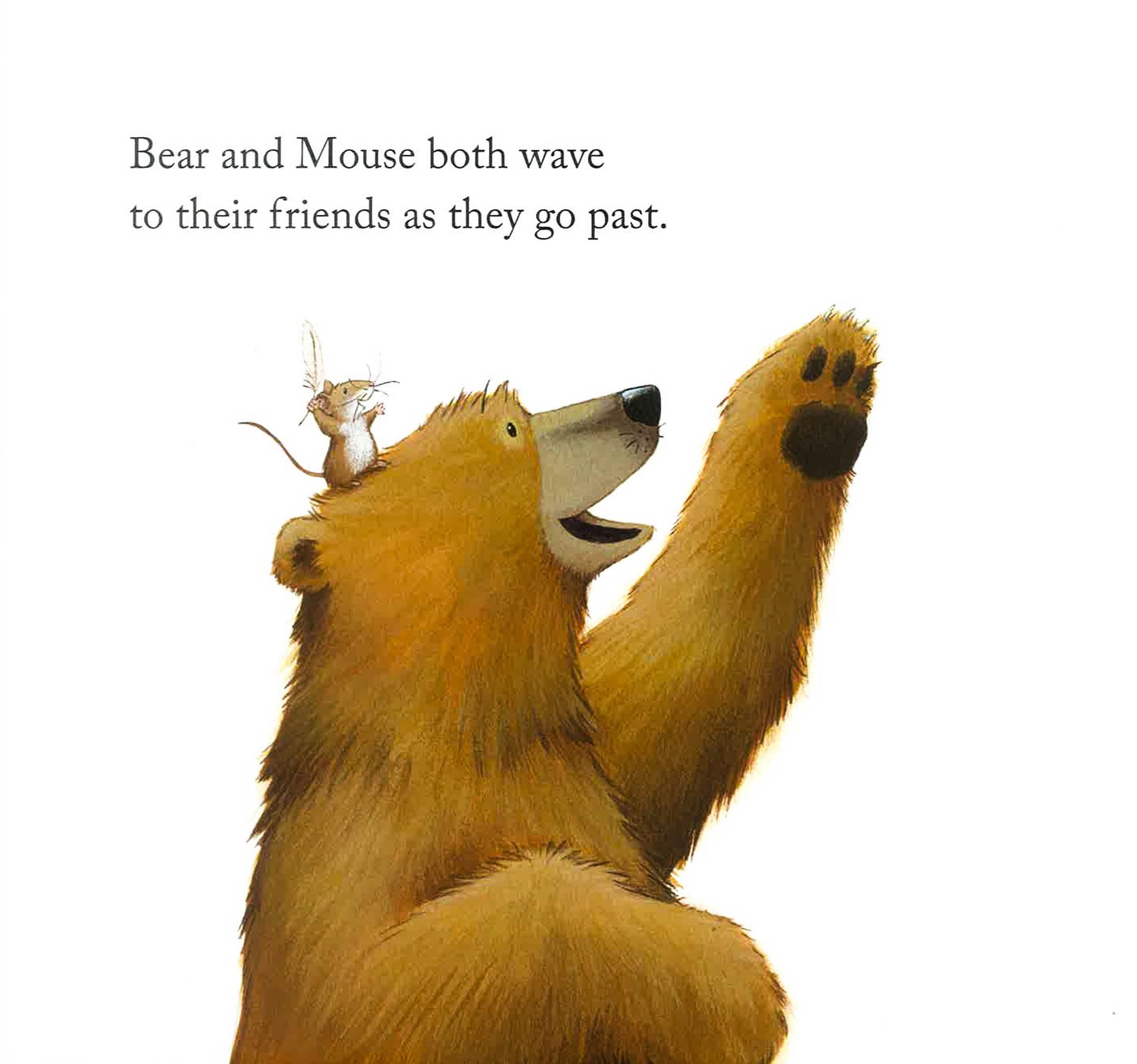 Big Bear, Small Mouse – BookXcess