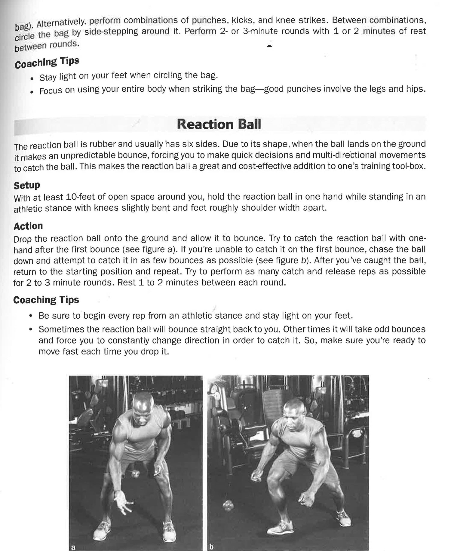 Building Muscle And Performance – BookXcess