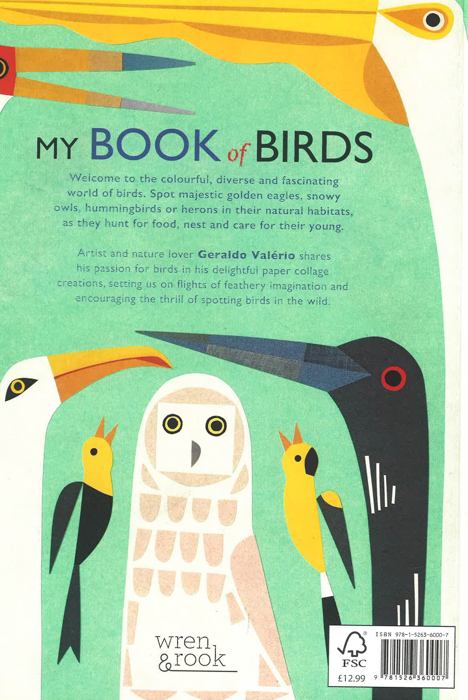 My Book Of Birds – BookXcess