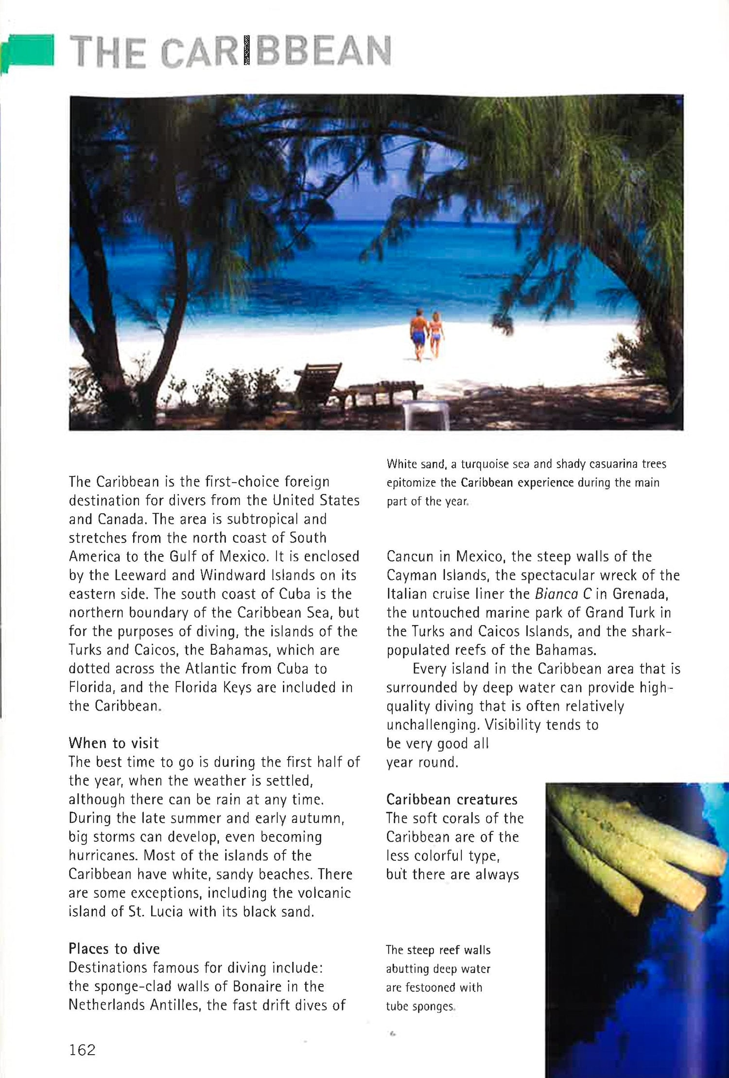 The Scuba Diving Handbook: The Complete Guide To Safe And Exciting Scu ...