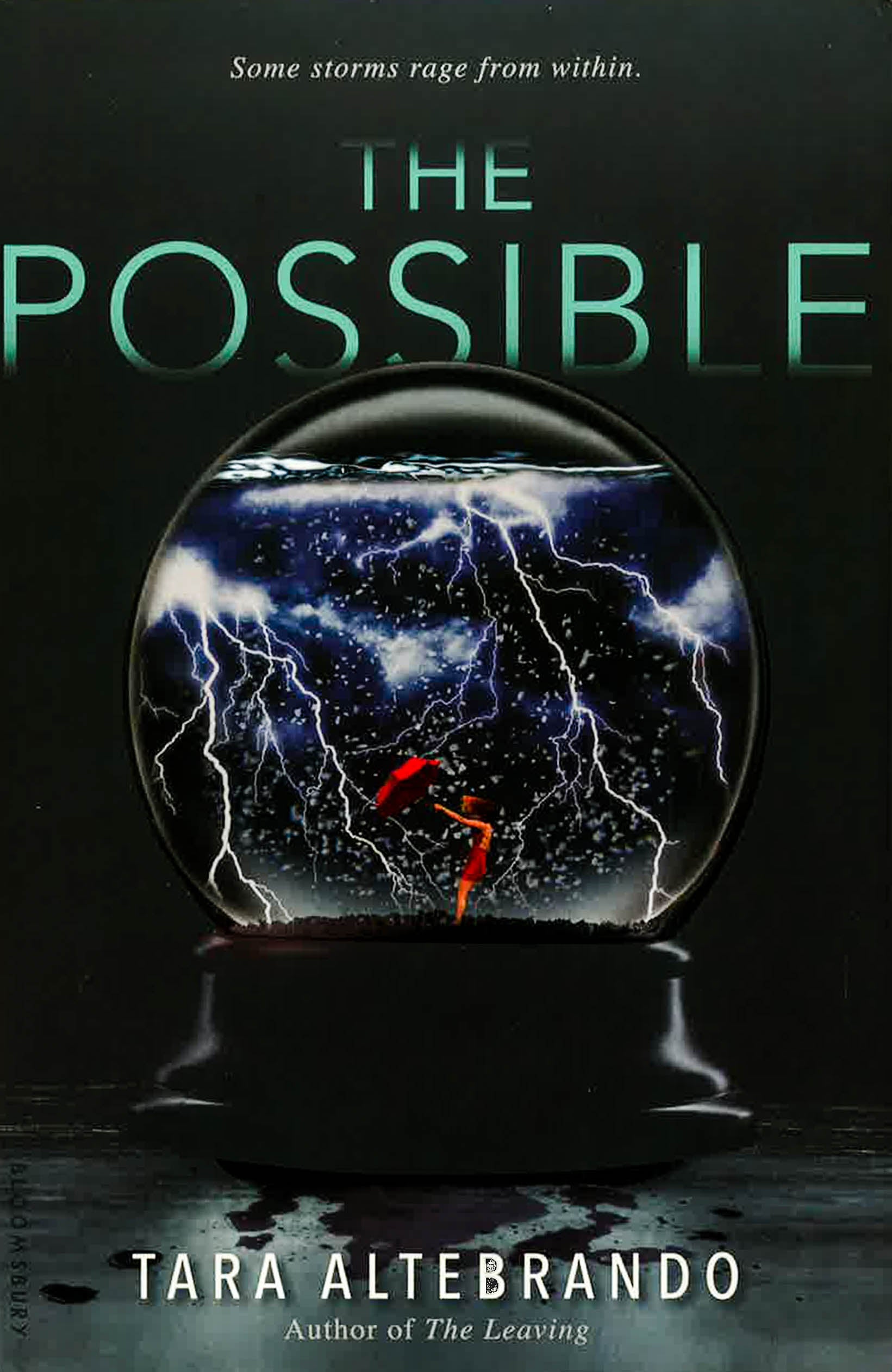 The Possible – BookXcess