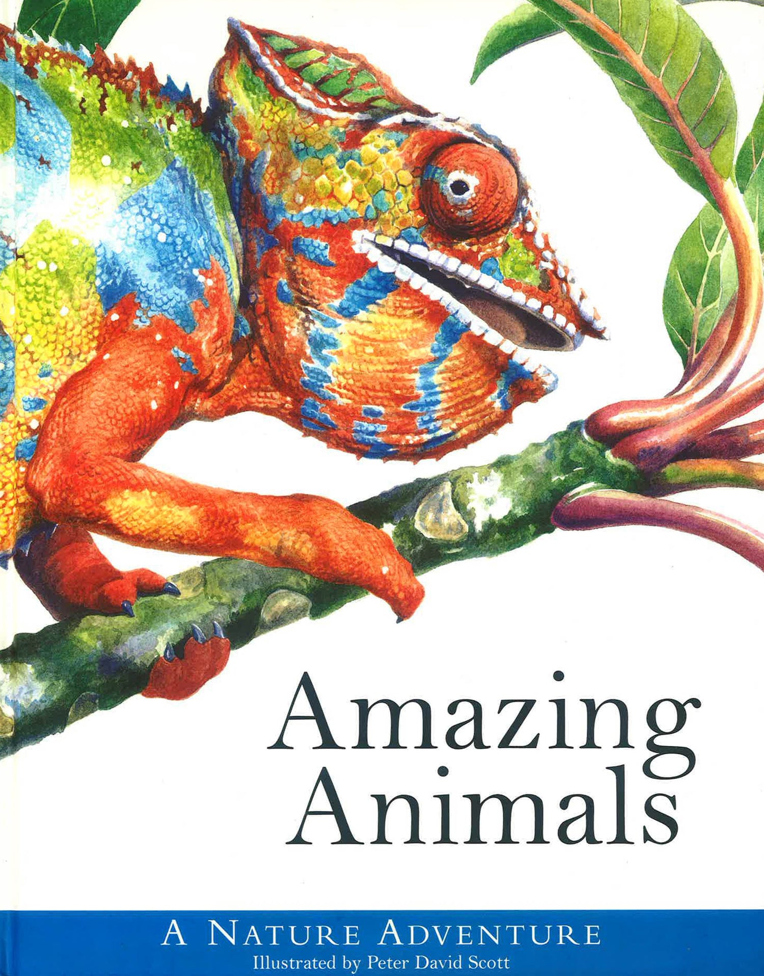 Amazing Animals – BookXcess