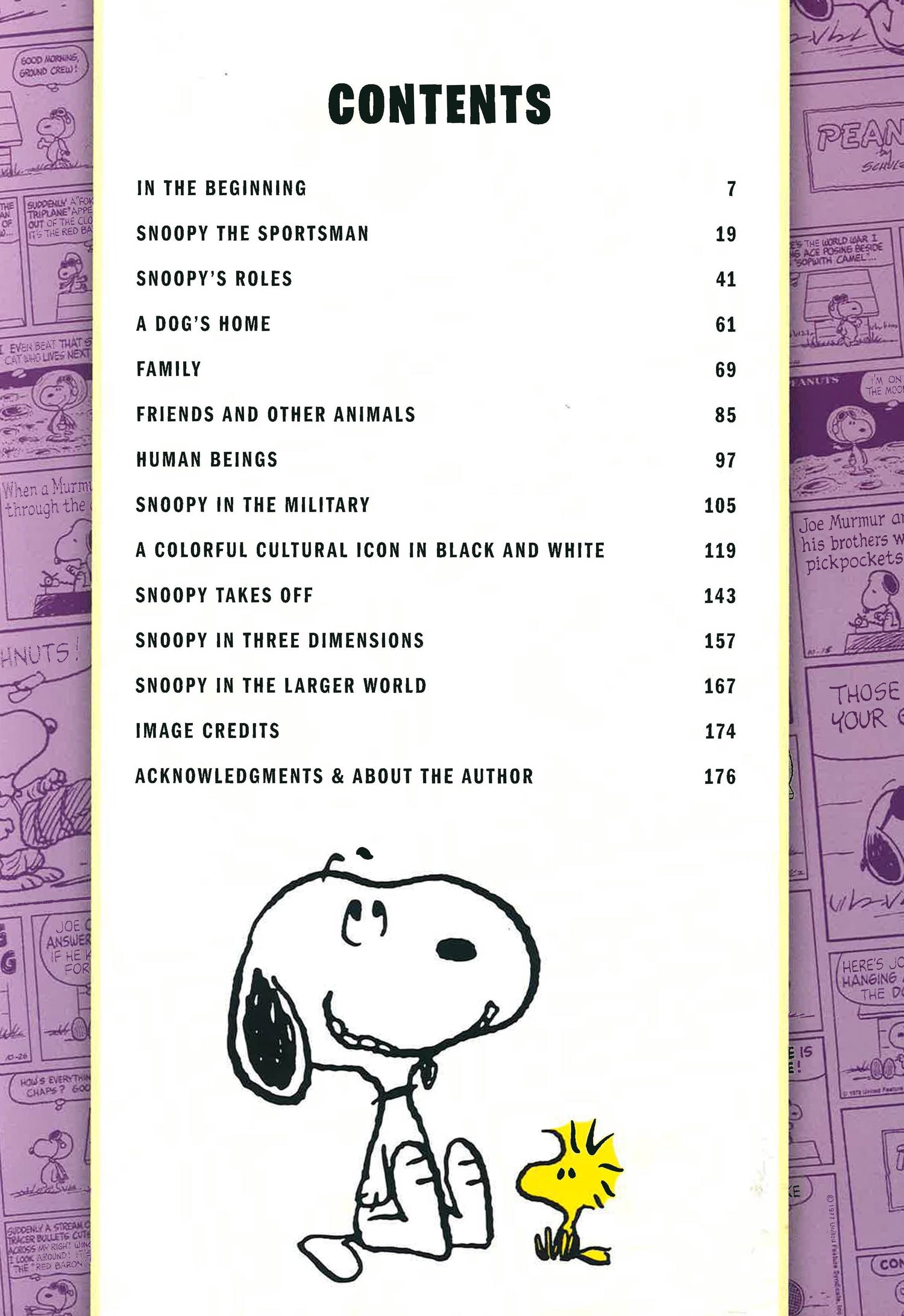 The Snoopy Treasures – BookXcess