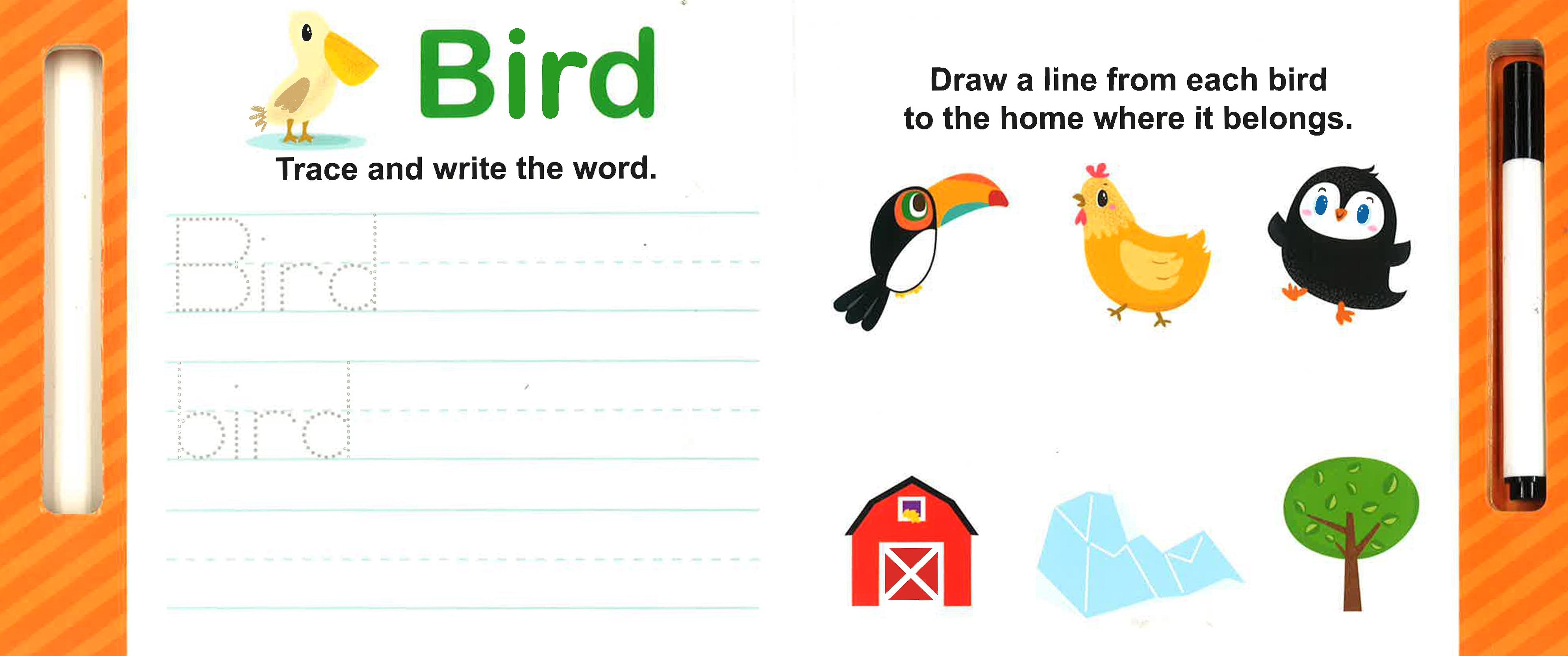 Writing Animals : Animals Wipe-Clean Book – BookXcess