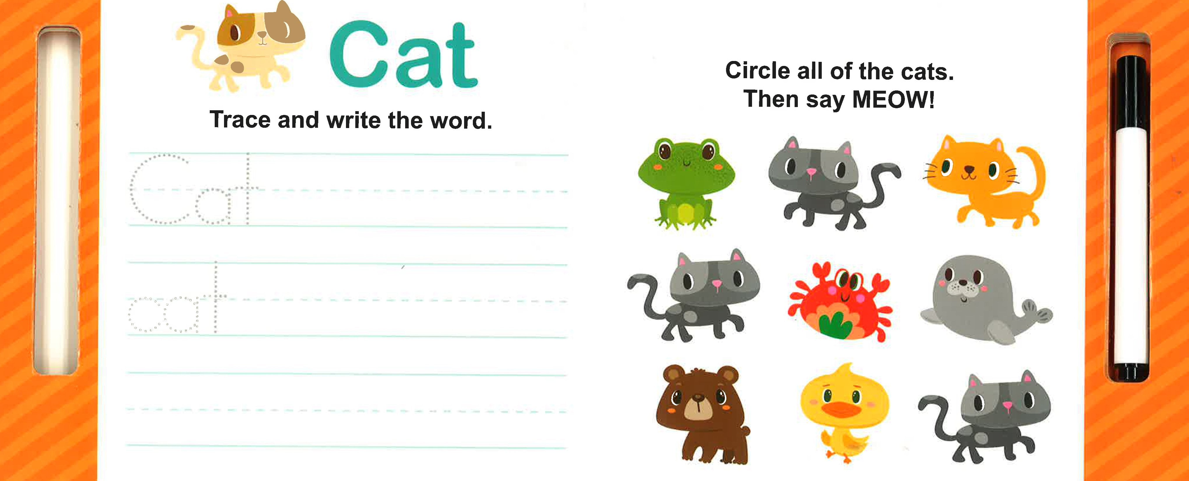 Writing Animals : Animals Wipe-Clean Book – BookXcess