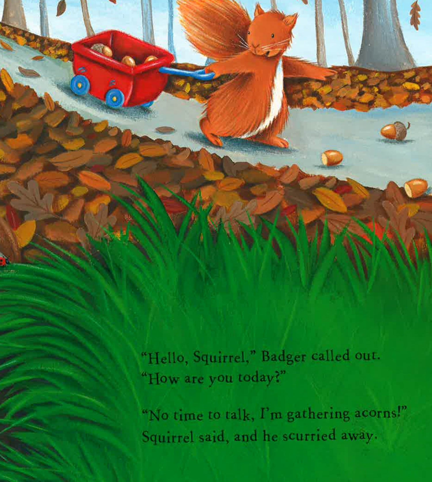 Squirrel's Busy Day – BookXcess