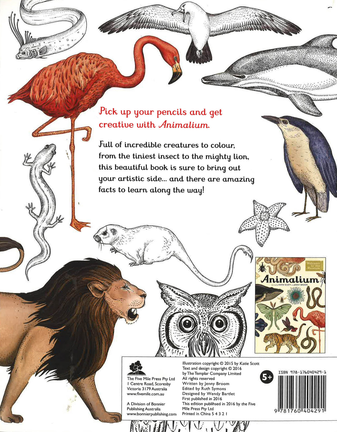 Animalium Colouring Book – BookXcess
