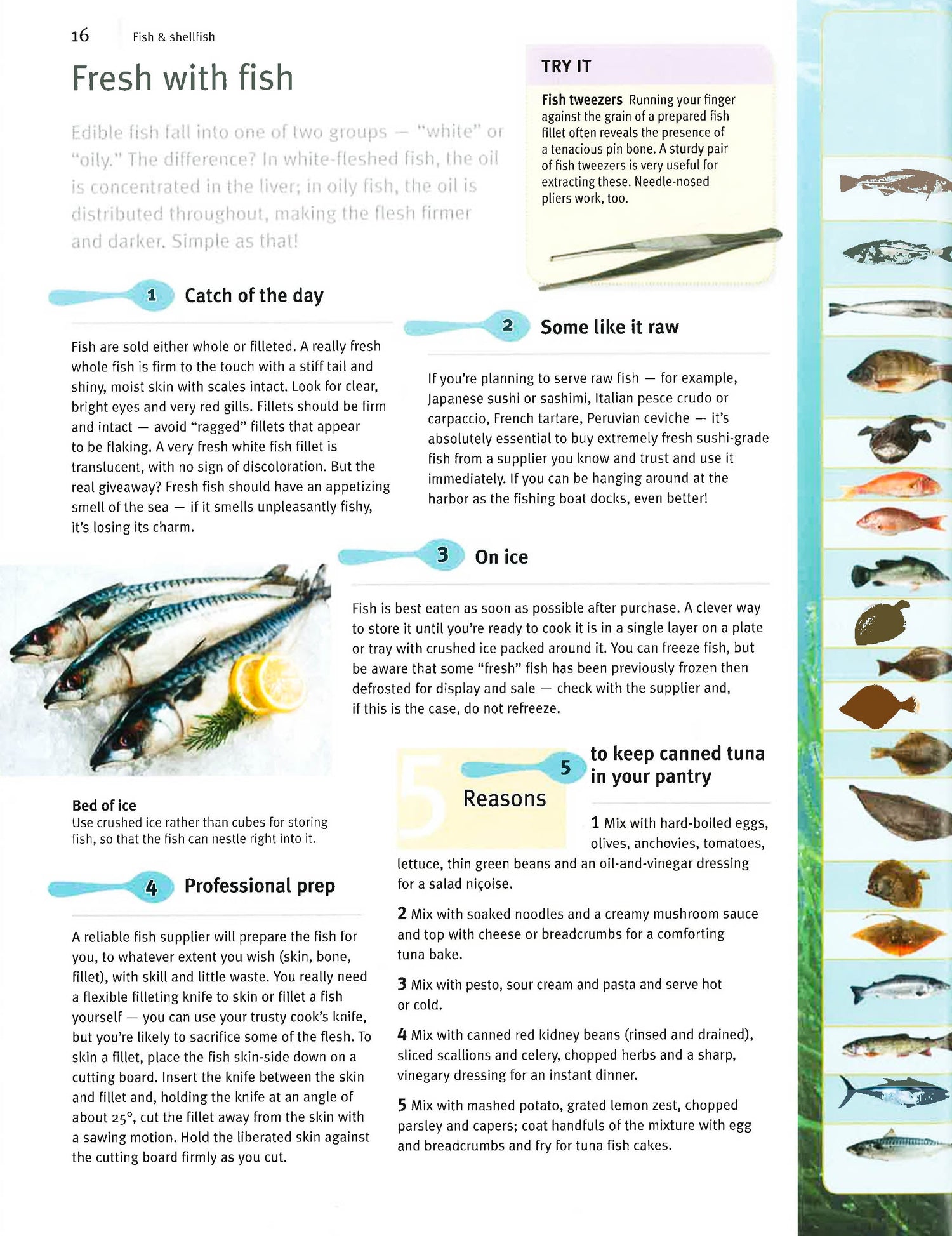 The Cook's Compendium: 250 Essential Tips, Techniques, Trade Secrets A ...