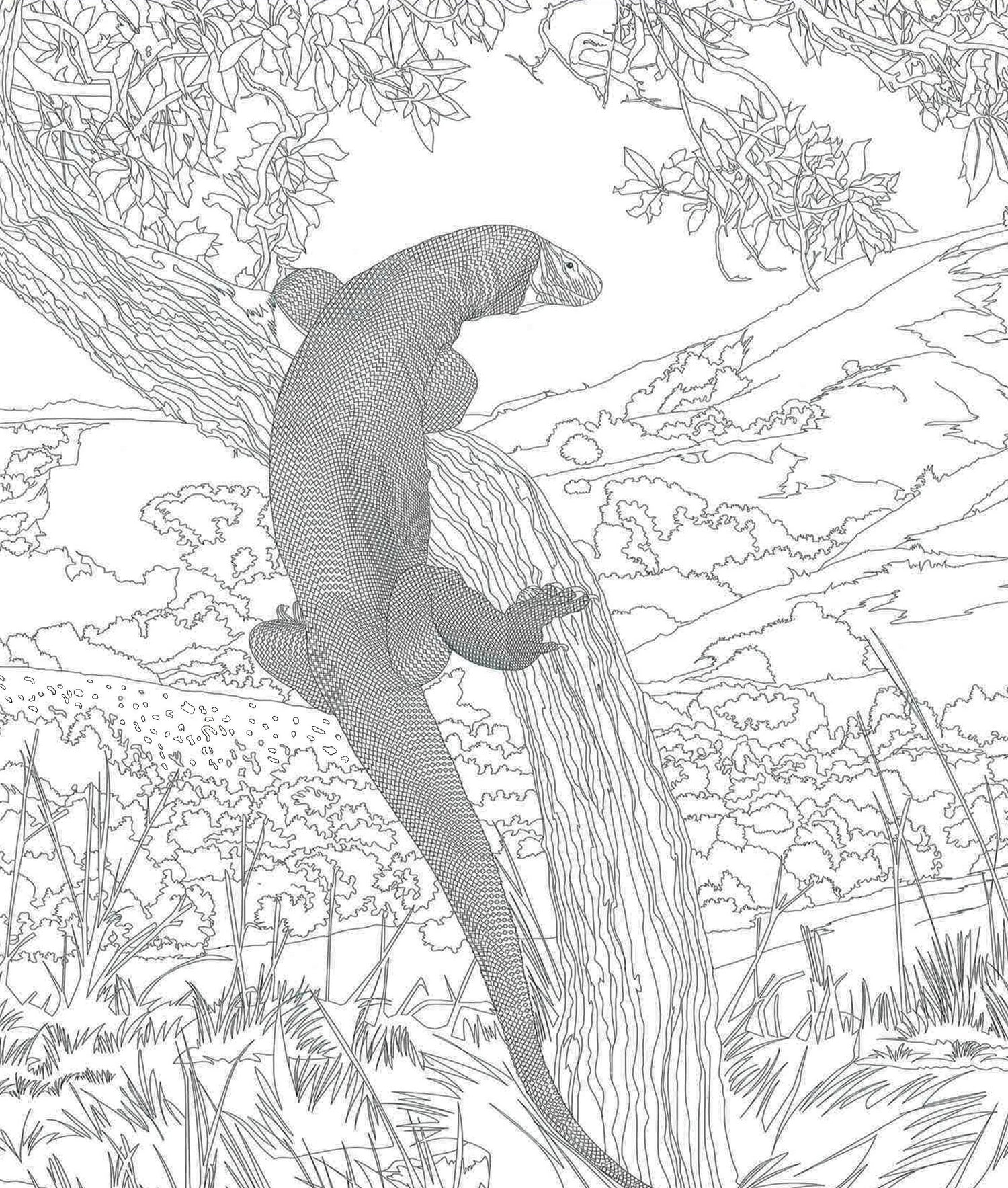 Extreme Colouring: Wonderful World – BookXcess