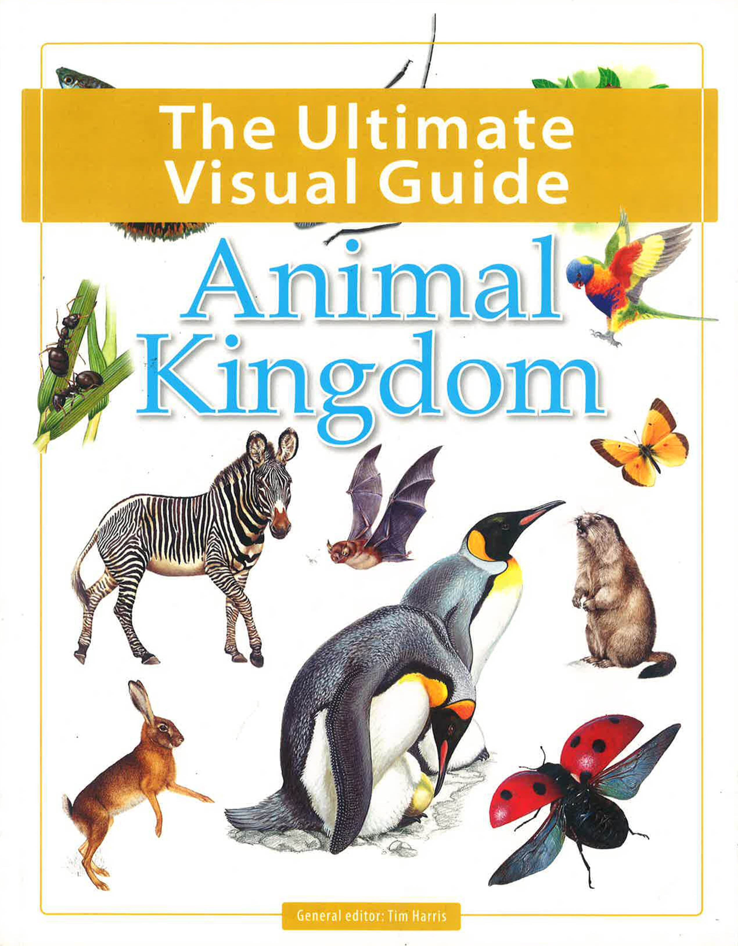 The Ultimate Visual Guide - Animal Kingdom – BookXcess