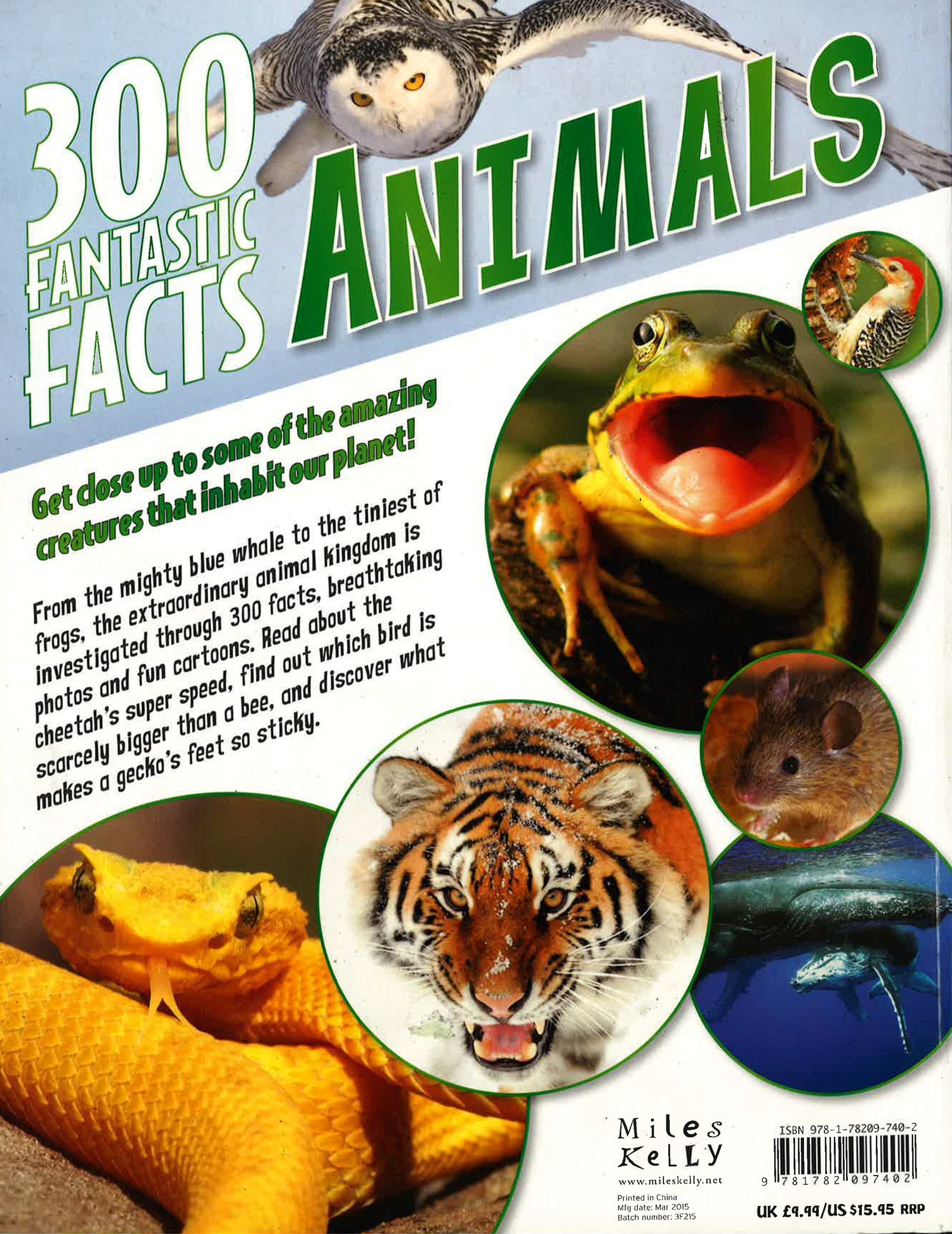 300 Fantastic Facts: Animals – BookXcess