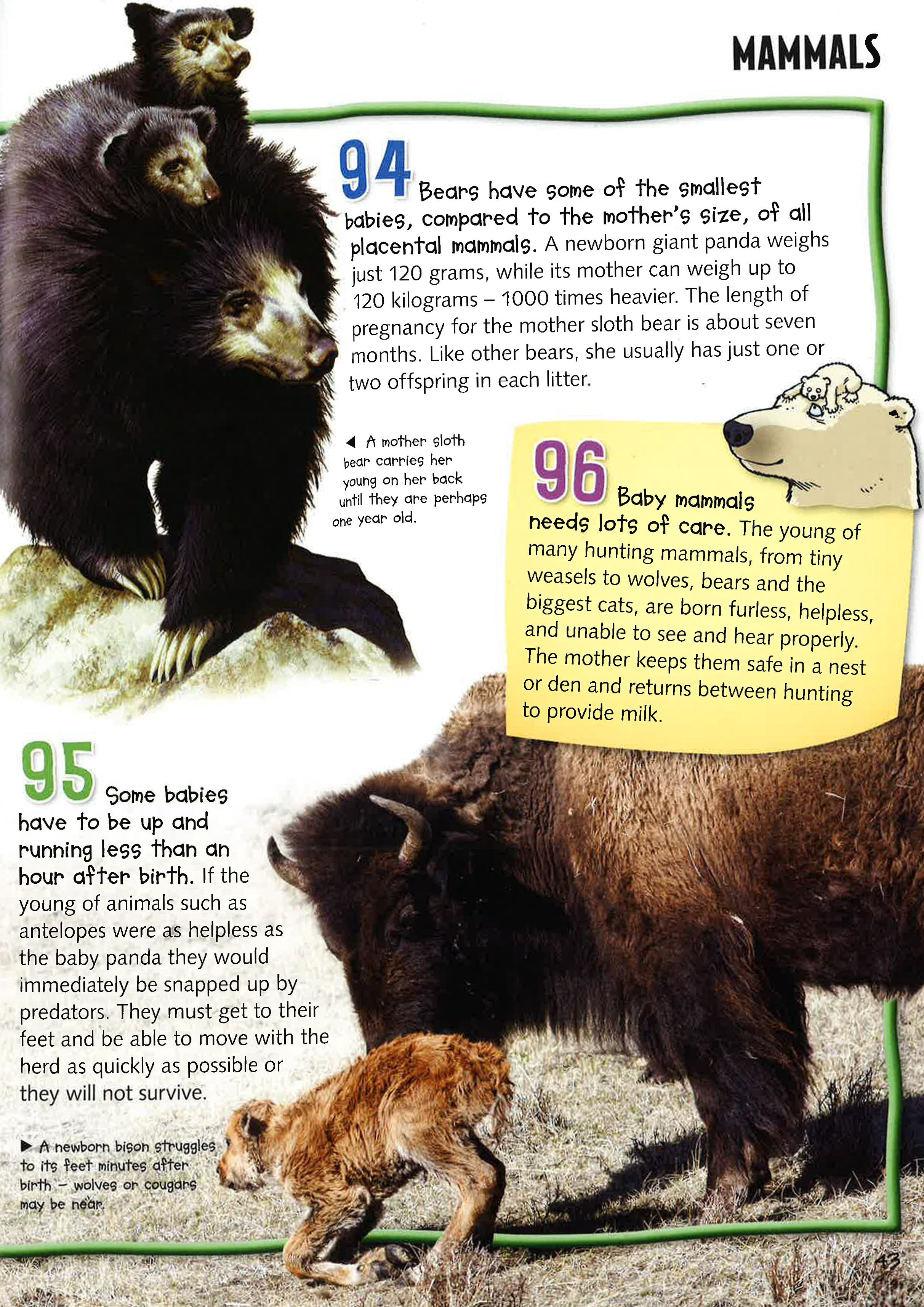 300 Fantastic Facts: Animals – BookXcess