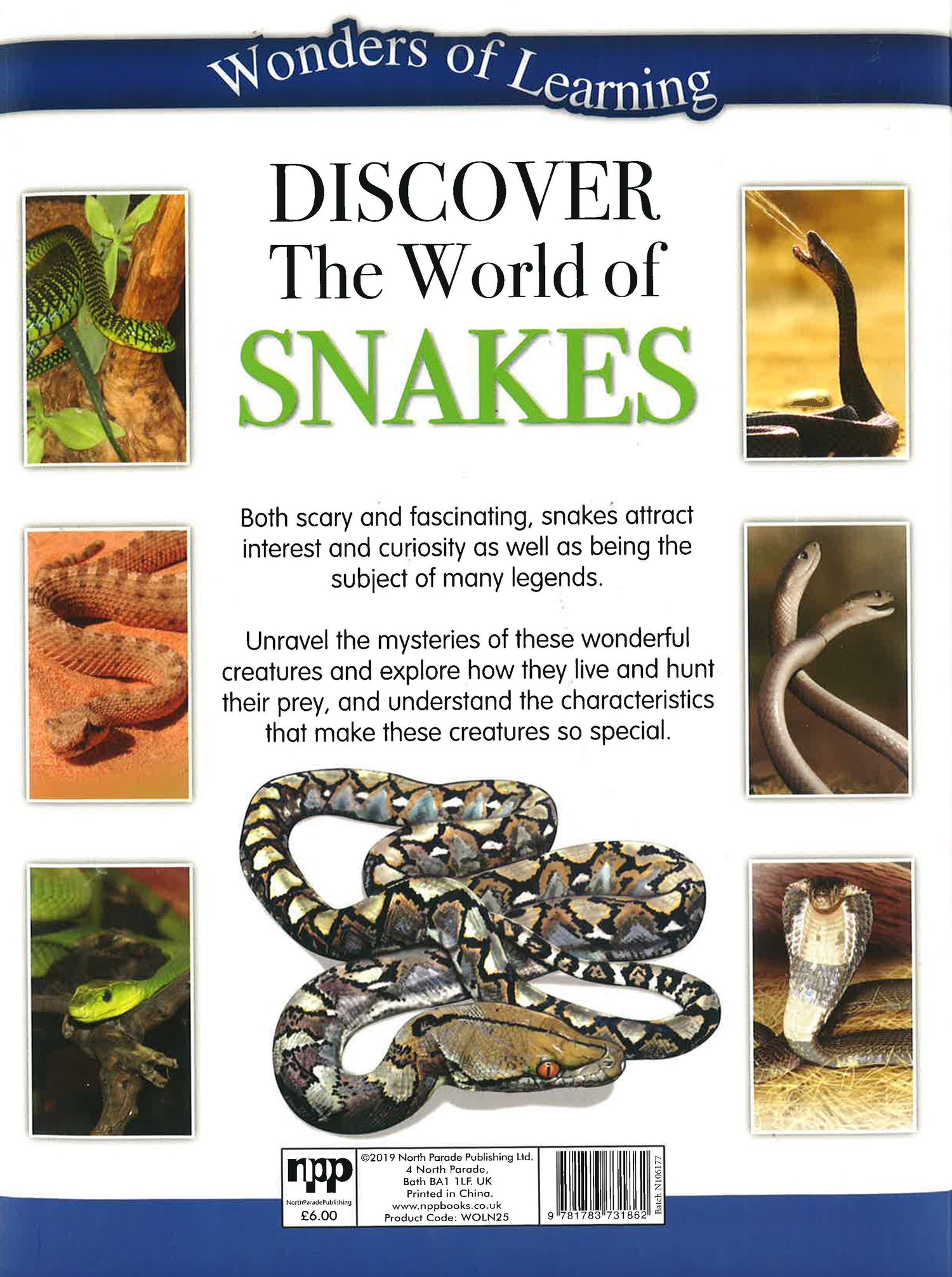 Wonders Of Learning: Discover Snakes – BookXcess