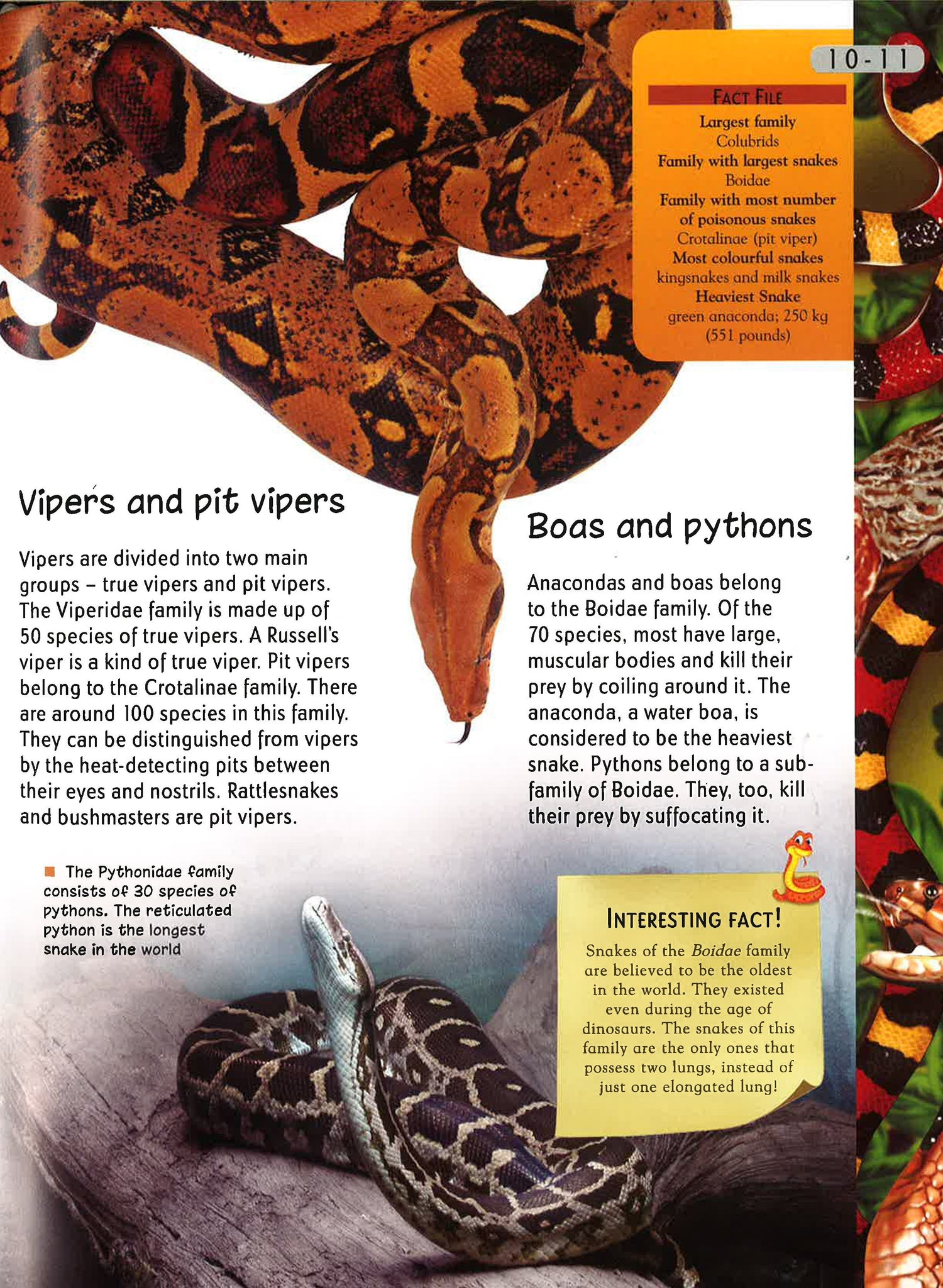 Wonders Of Learning: Discover Snakes – BookXcess