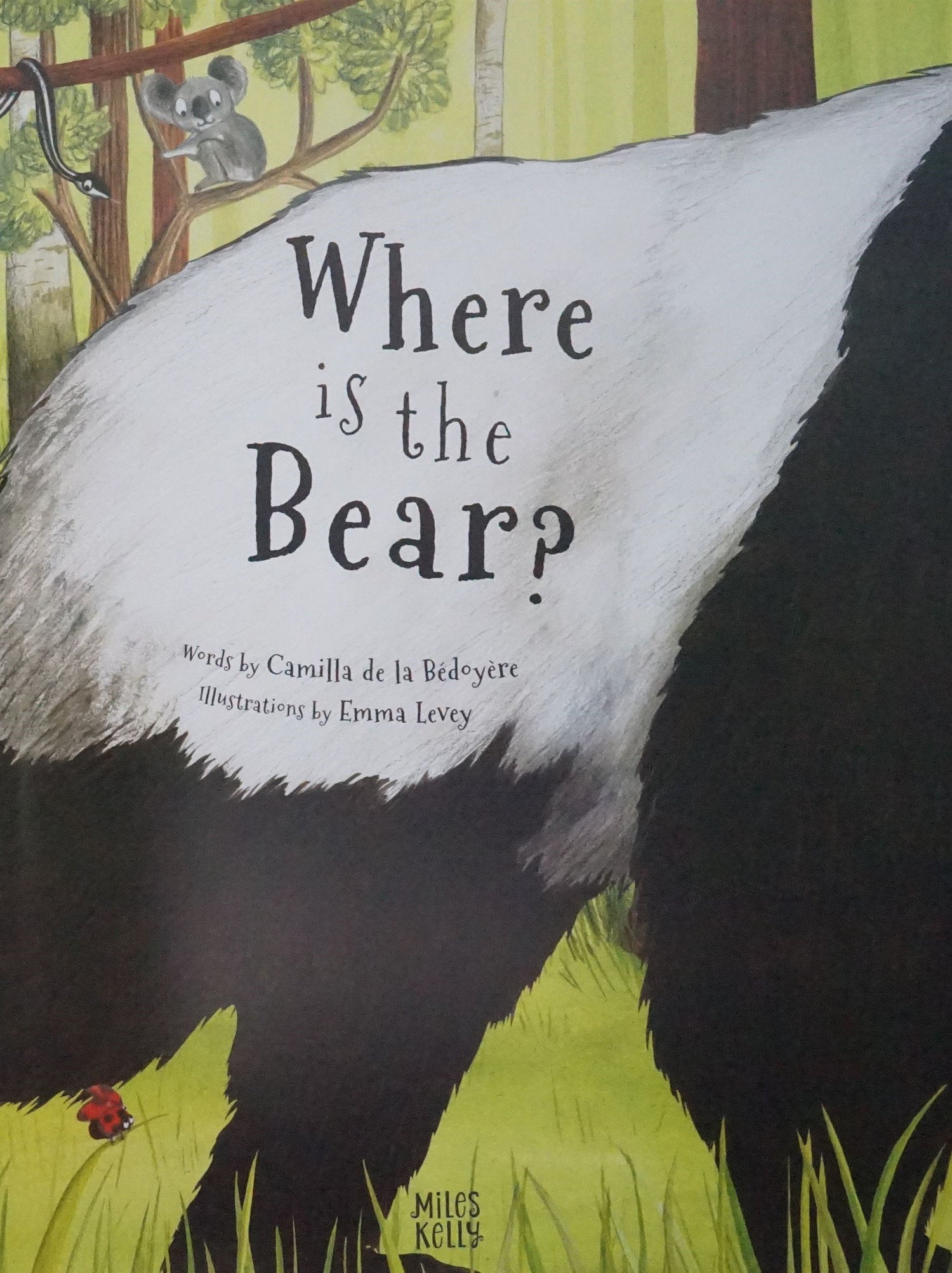 Where Is The Bear? – BookXcess