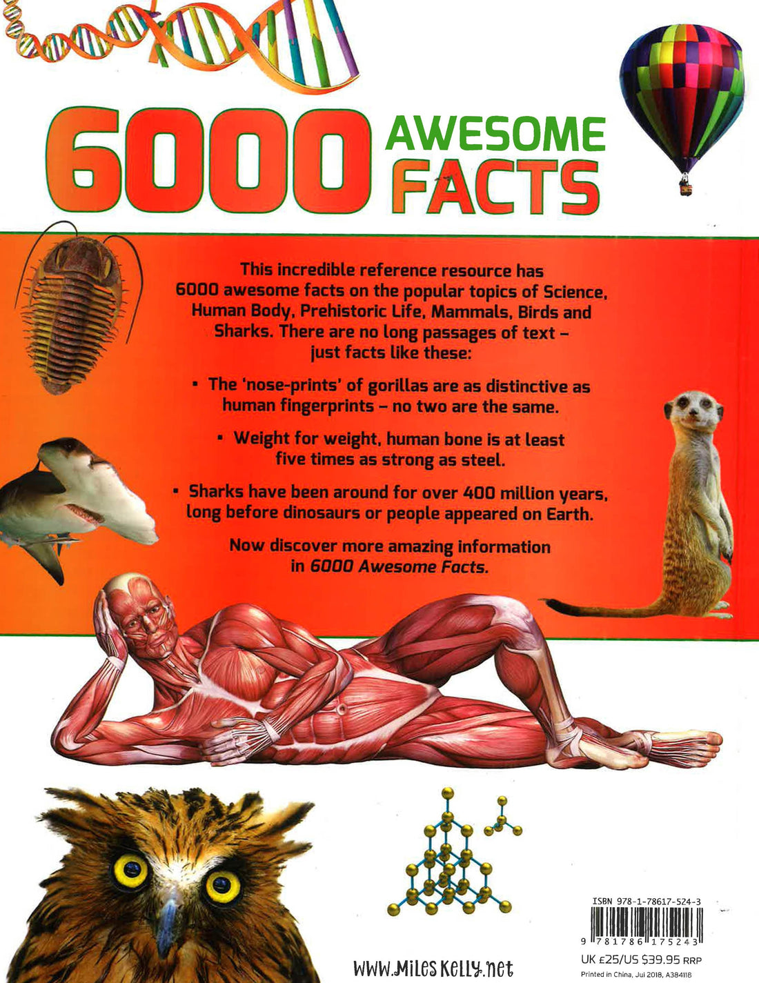 6000 Awesome Facts – BookXcess