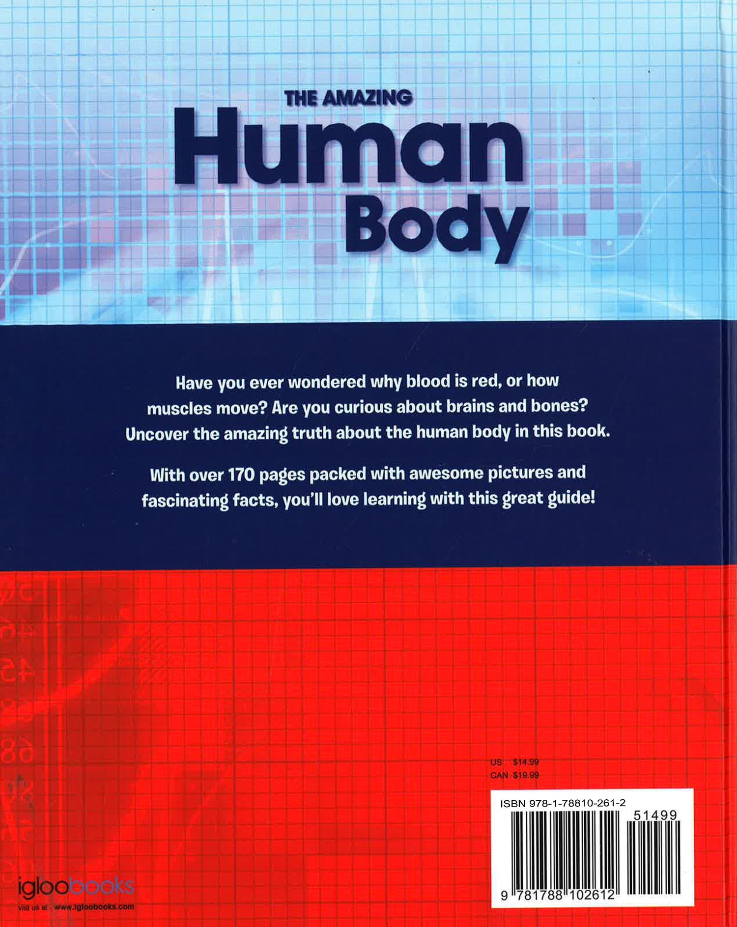 The Amazing Human Body – BookXcess