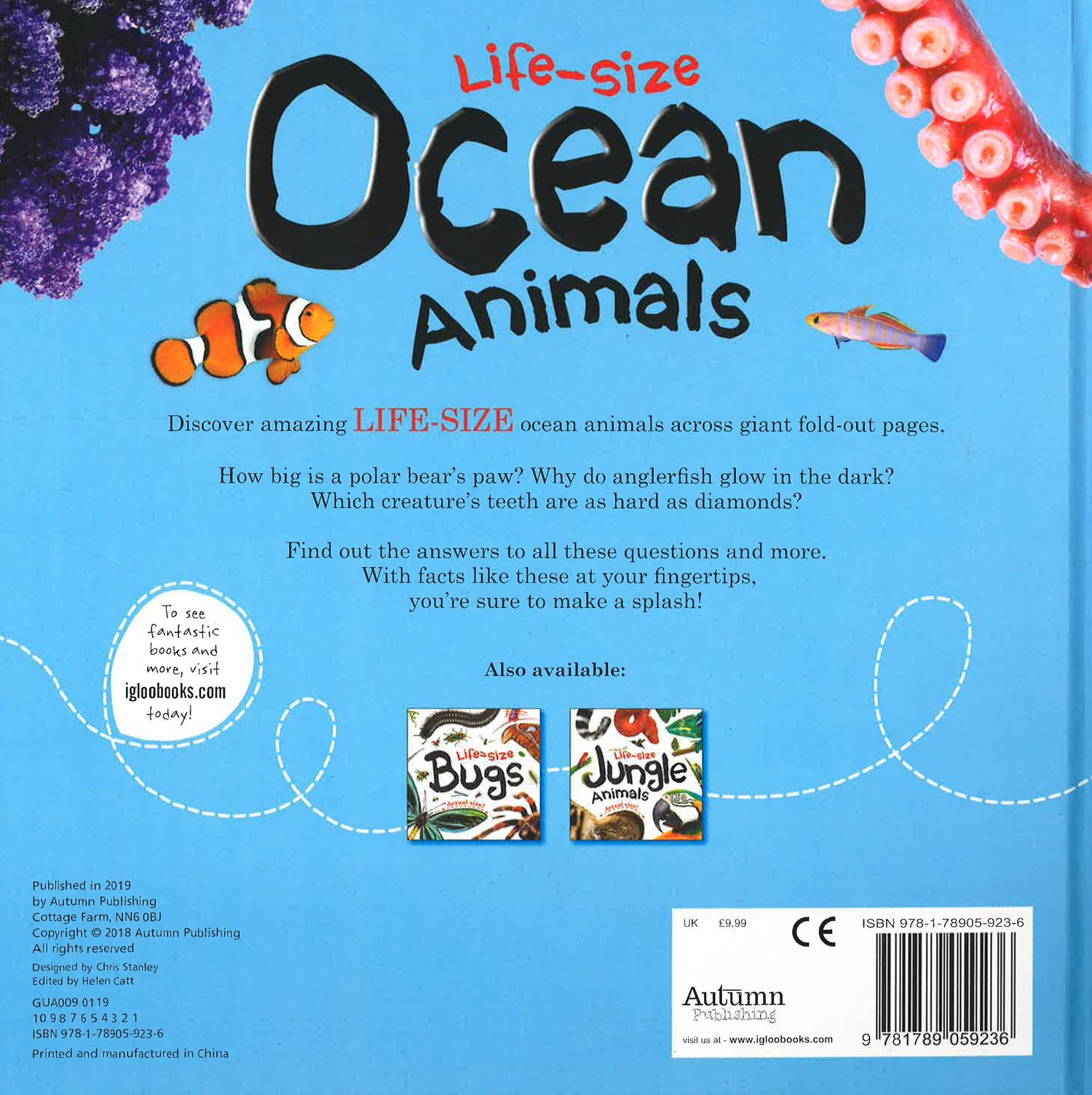 Life-Size: Ocean Animals – BookXcess