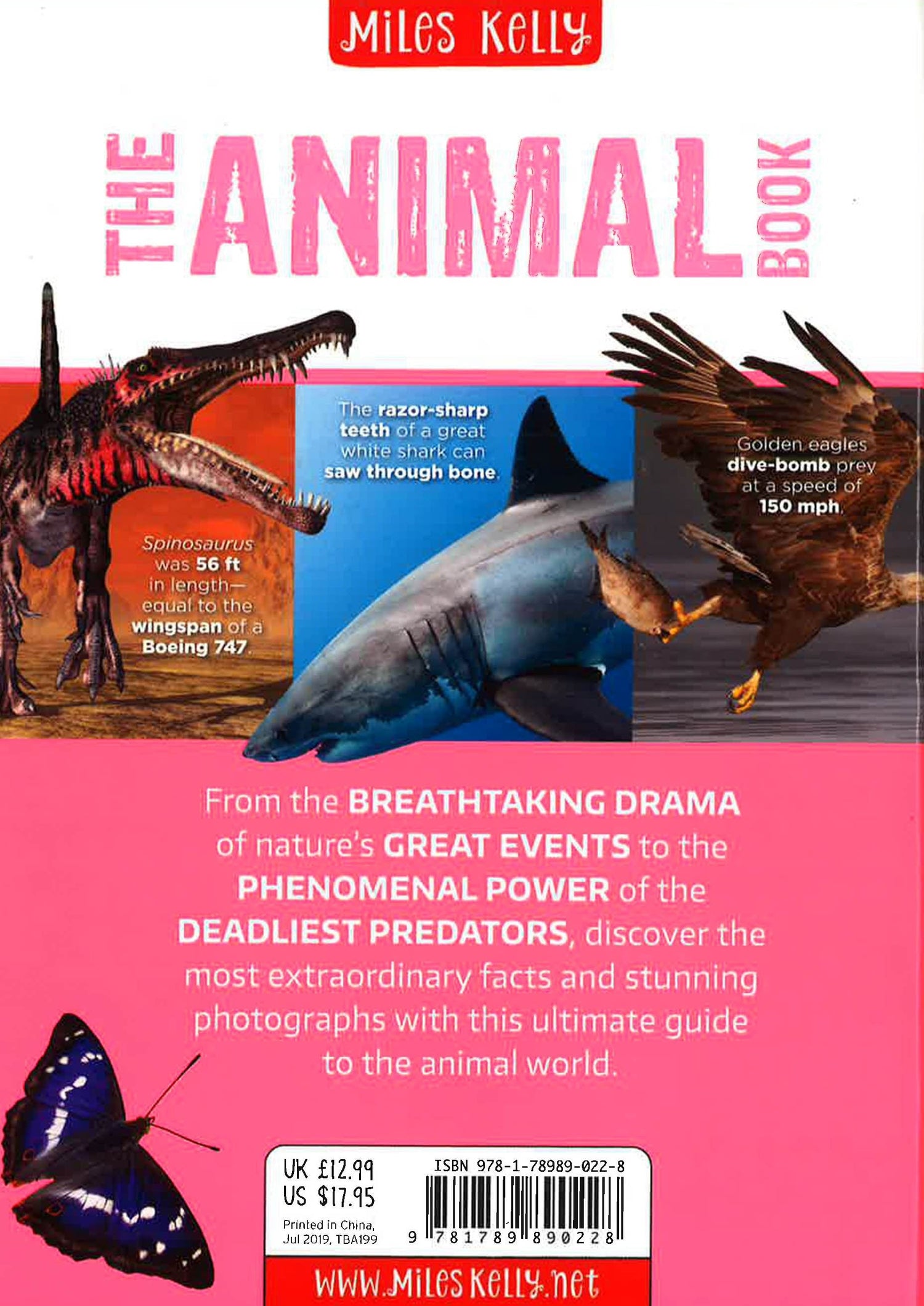 The Animal Book – BookXcess