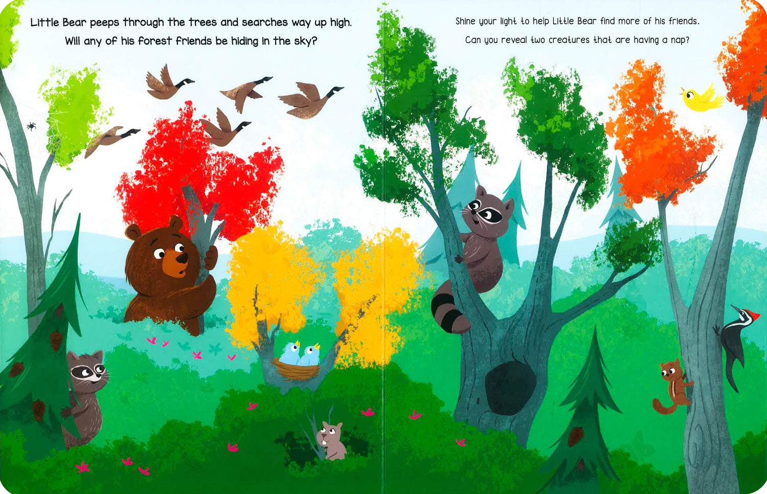 Hide-And-Seek Forest Friends – BookXcess