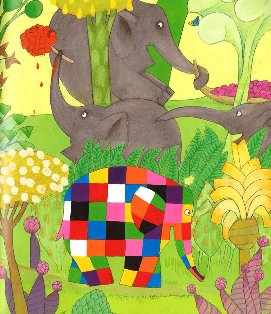 Elmer's Special Day (Elmer Picture Books) – BookXcess